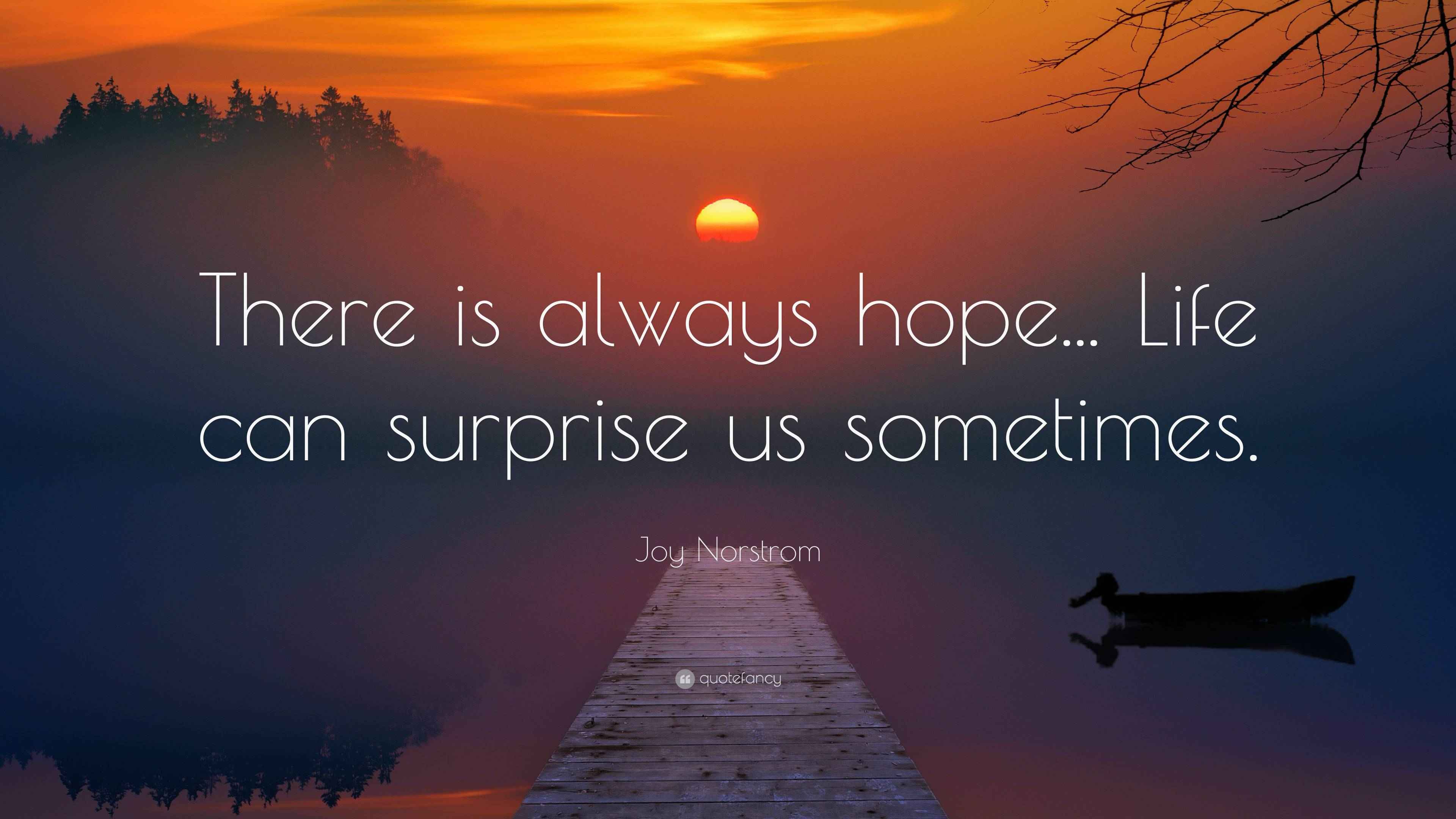 Joy Norstrom Quote: “There is always hope... Life can surprise us ...