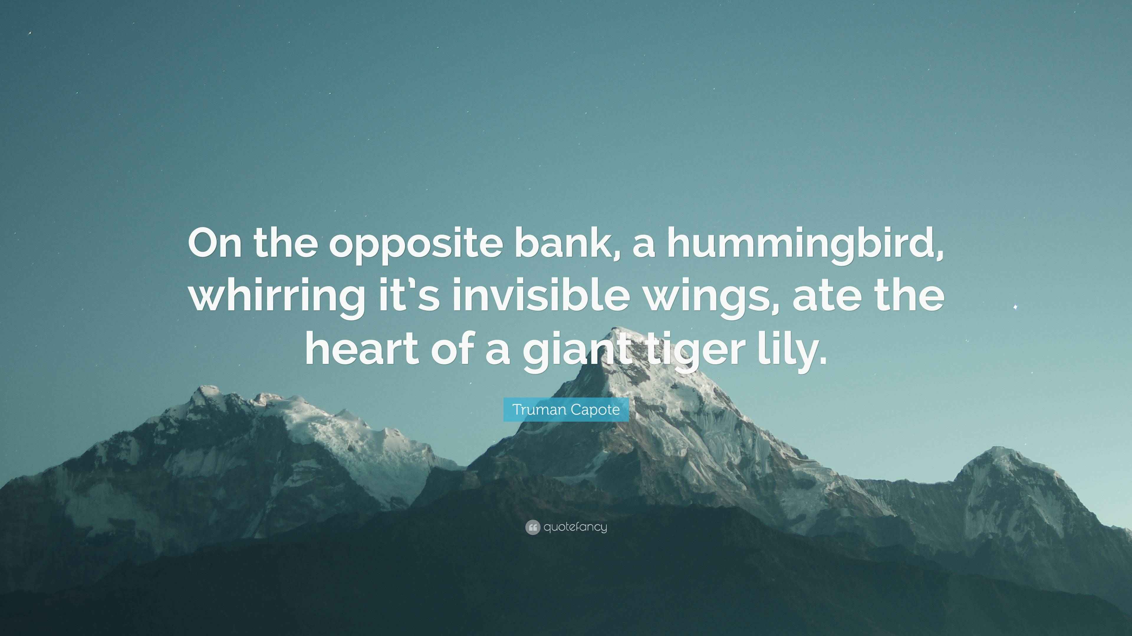 Truman Capote Quote: “On the opposite bank, a hummingbird, whirring it ...