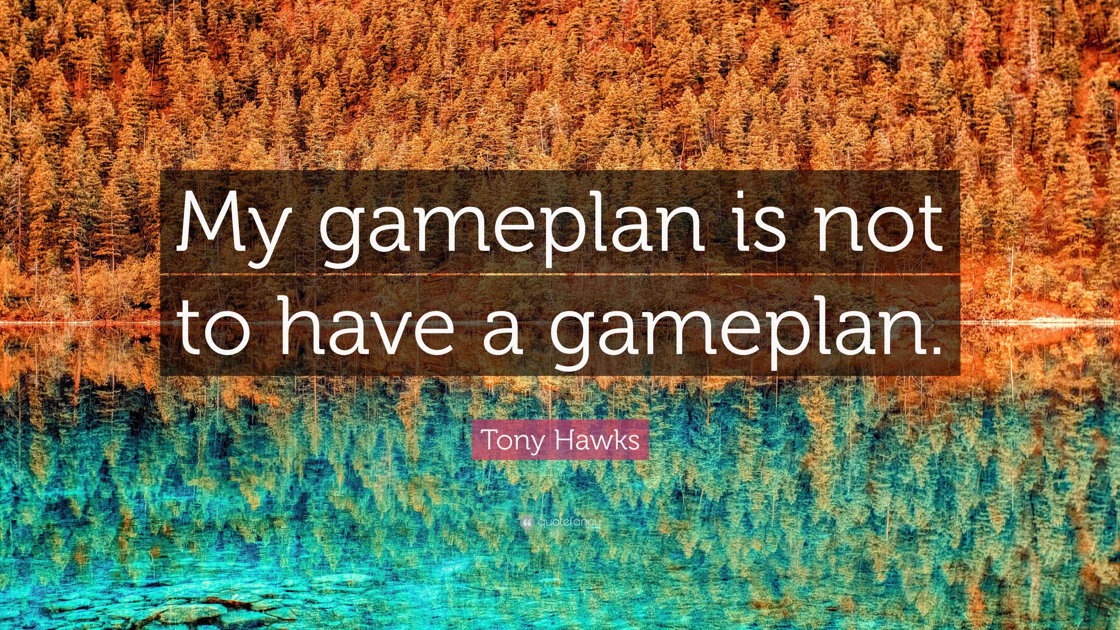 Tony Hawks Quote: “My gameplan is not to have a gameplan.”