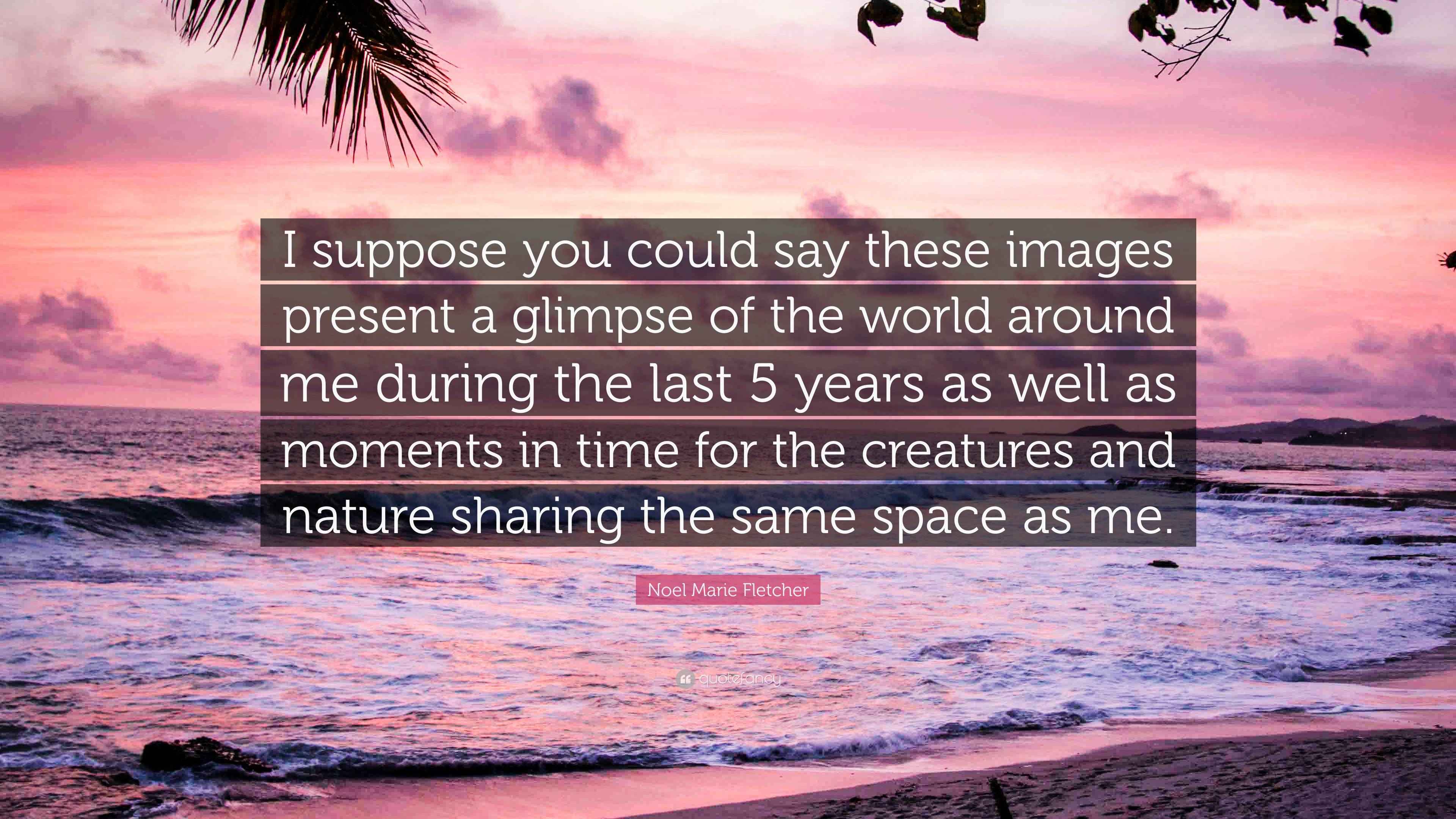 Noel Marie Fletcher Quote: “I suppose you could say these images ...