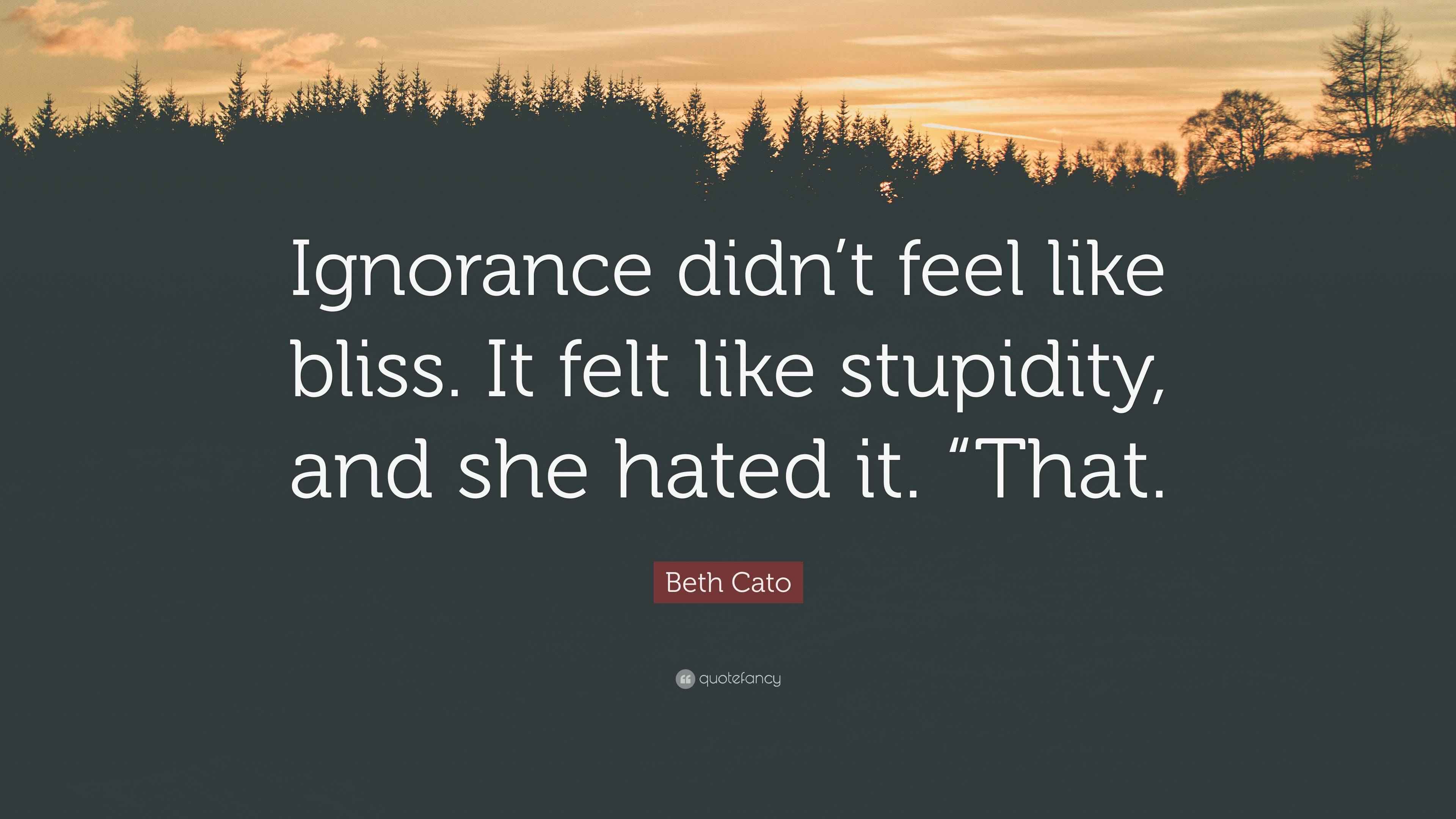 Beth Cato Quote: “Ignorance didn’t feel like bliss. It felt like ...