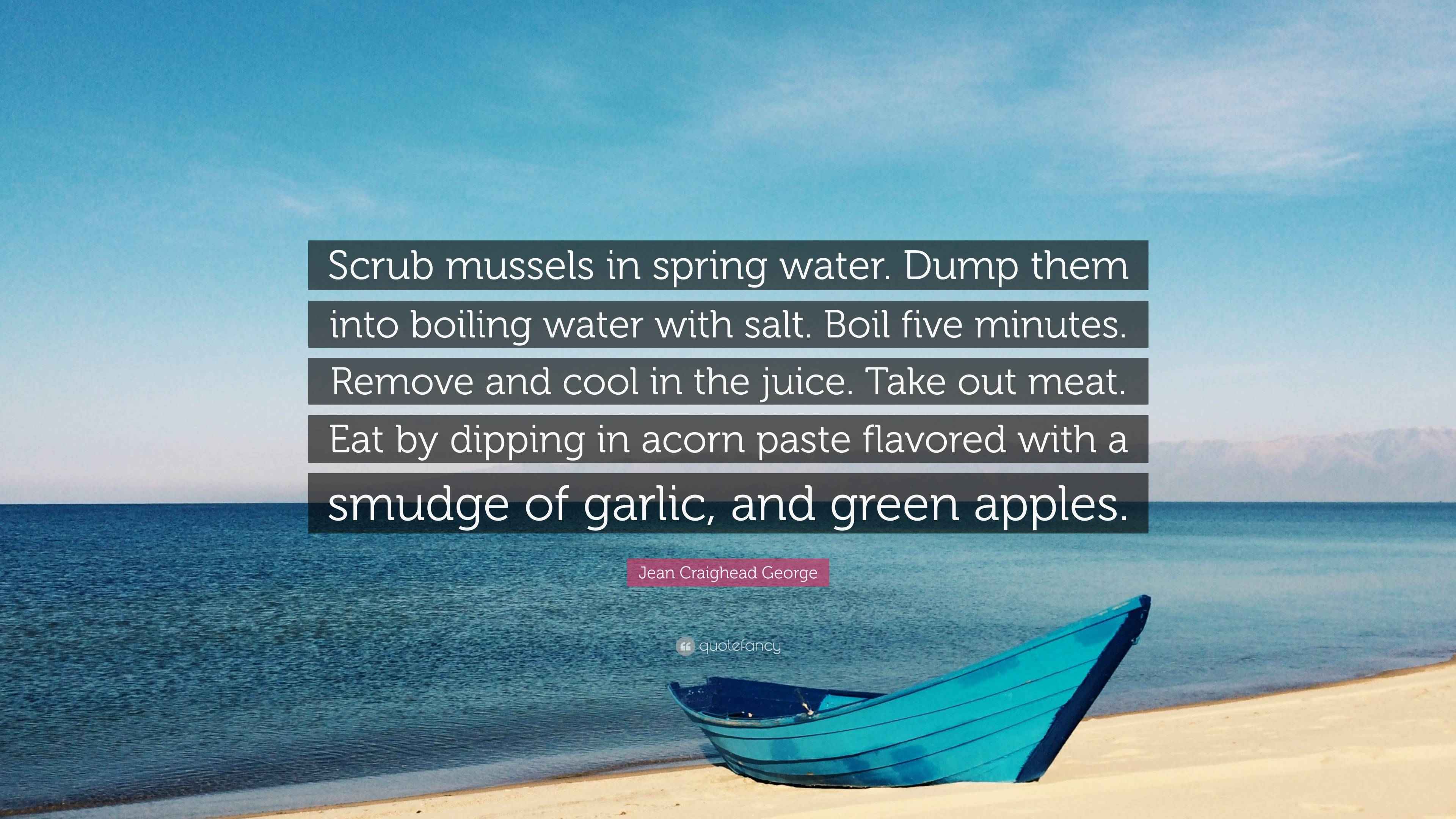 Jean Craighead George Quote: “Scrub mussels in spring water. Dump them ...