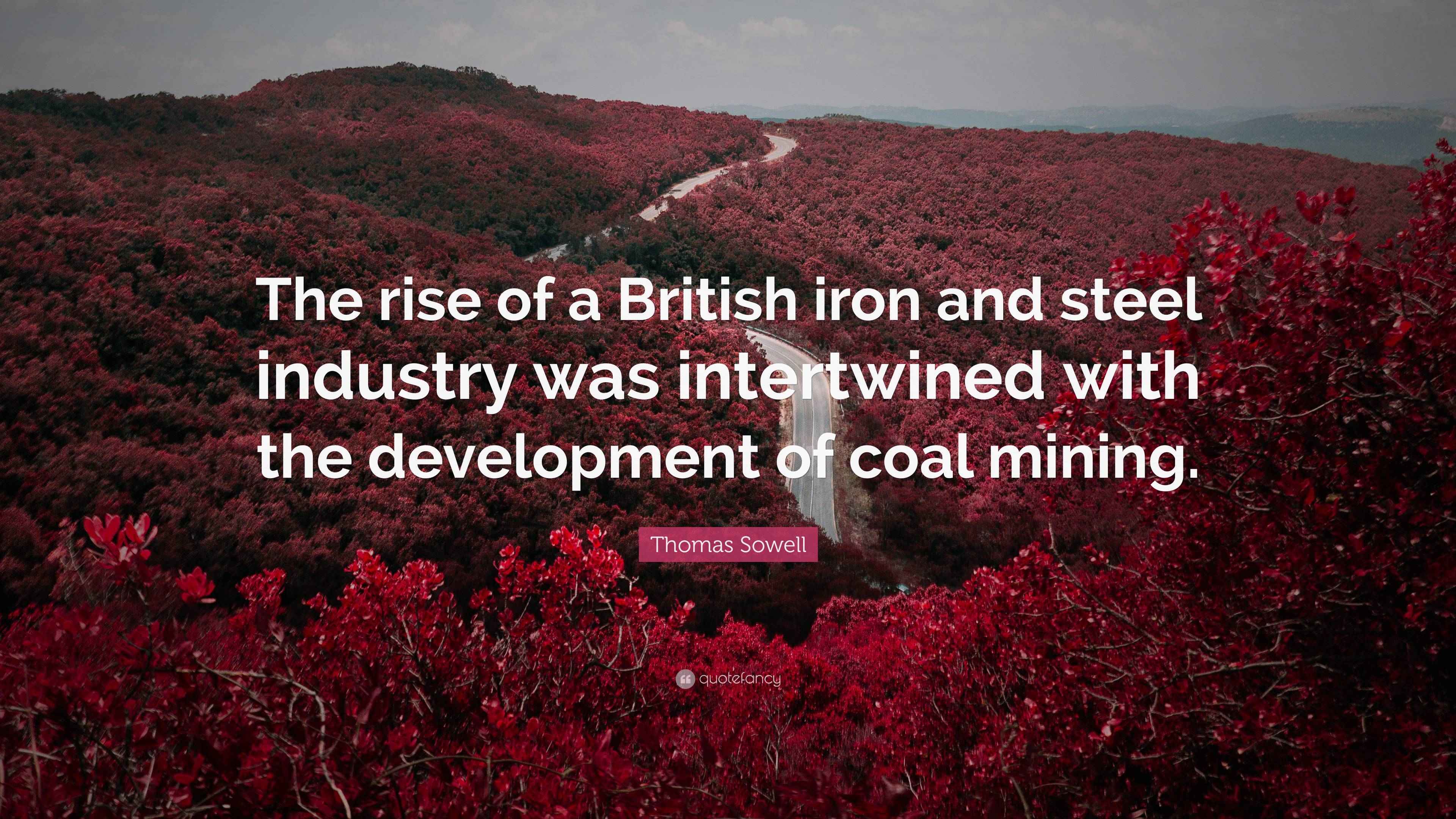 Thomas Sowell Quote: “The rise of a British iron and steel industry was ...