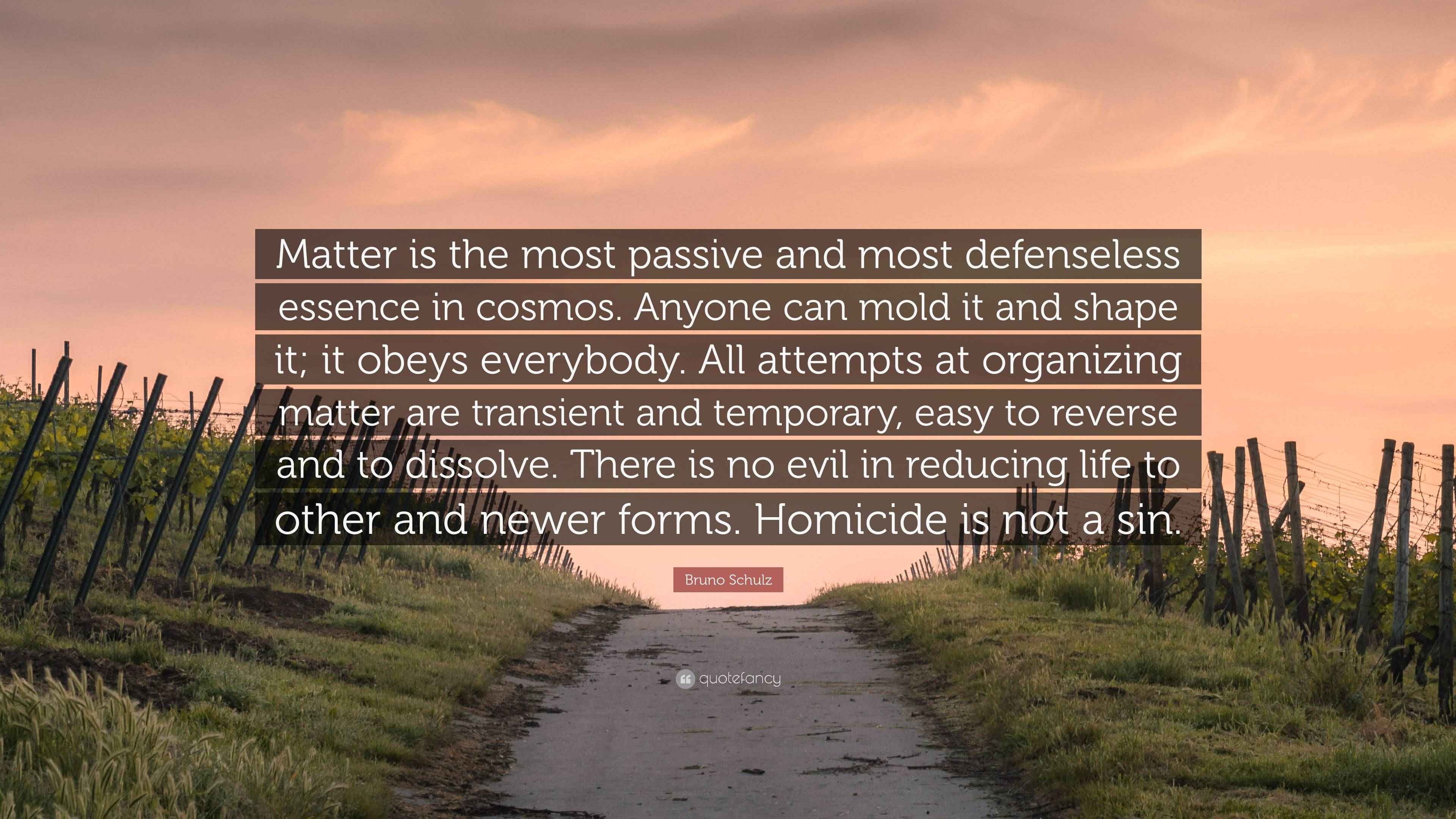 Bruno Schulz Quote: “Matter is the most passive and most defenseless ...