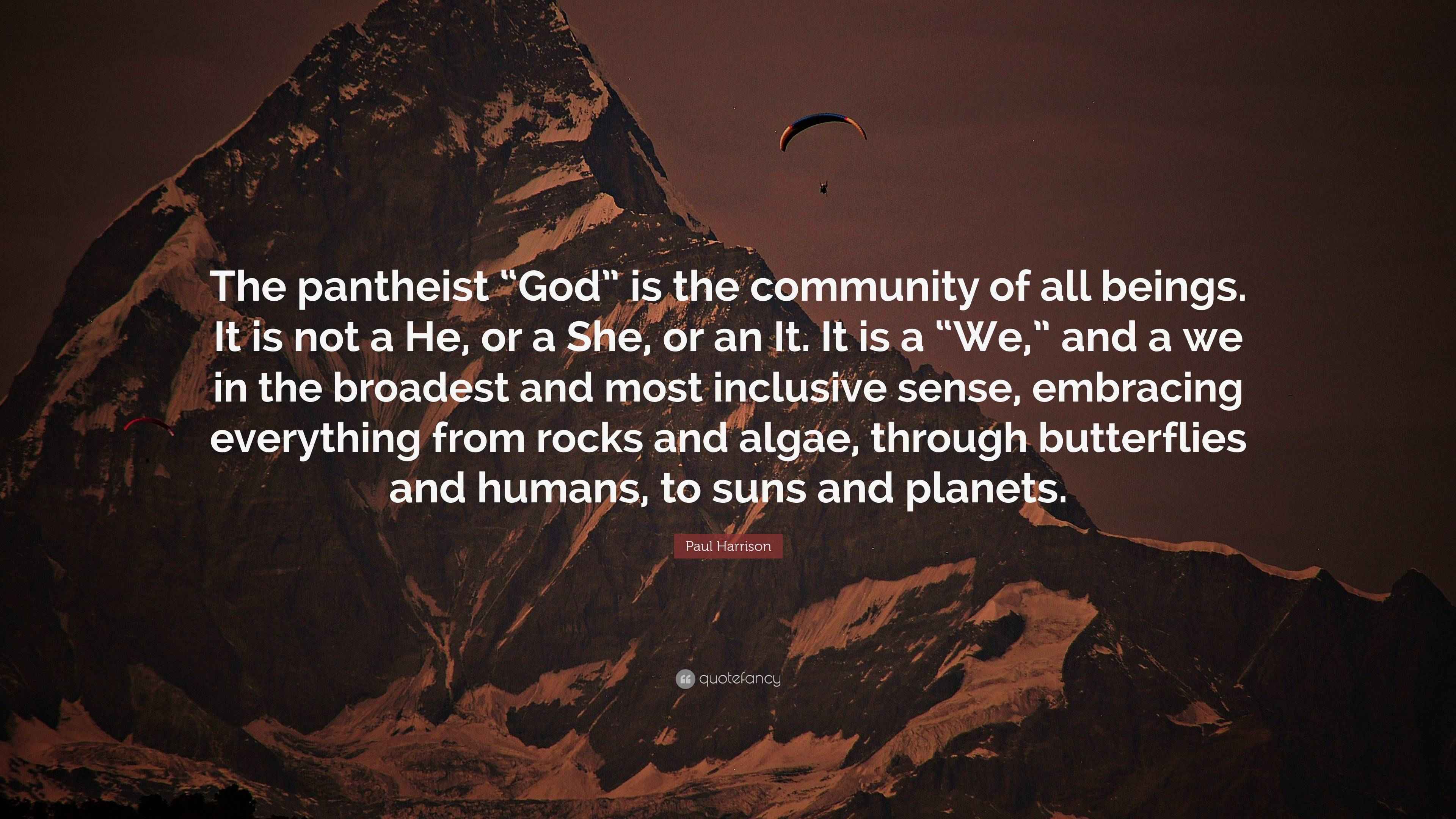 Paul Harrison Quote: “The pantheist “God” is the community of all ...