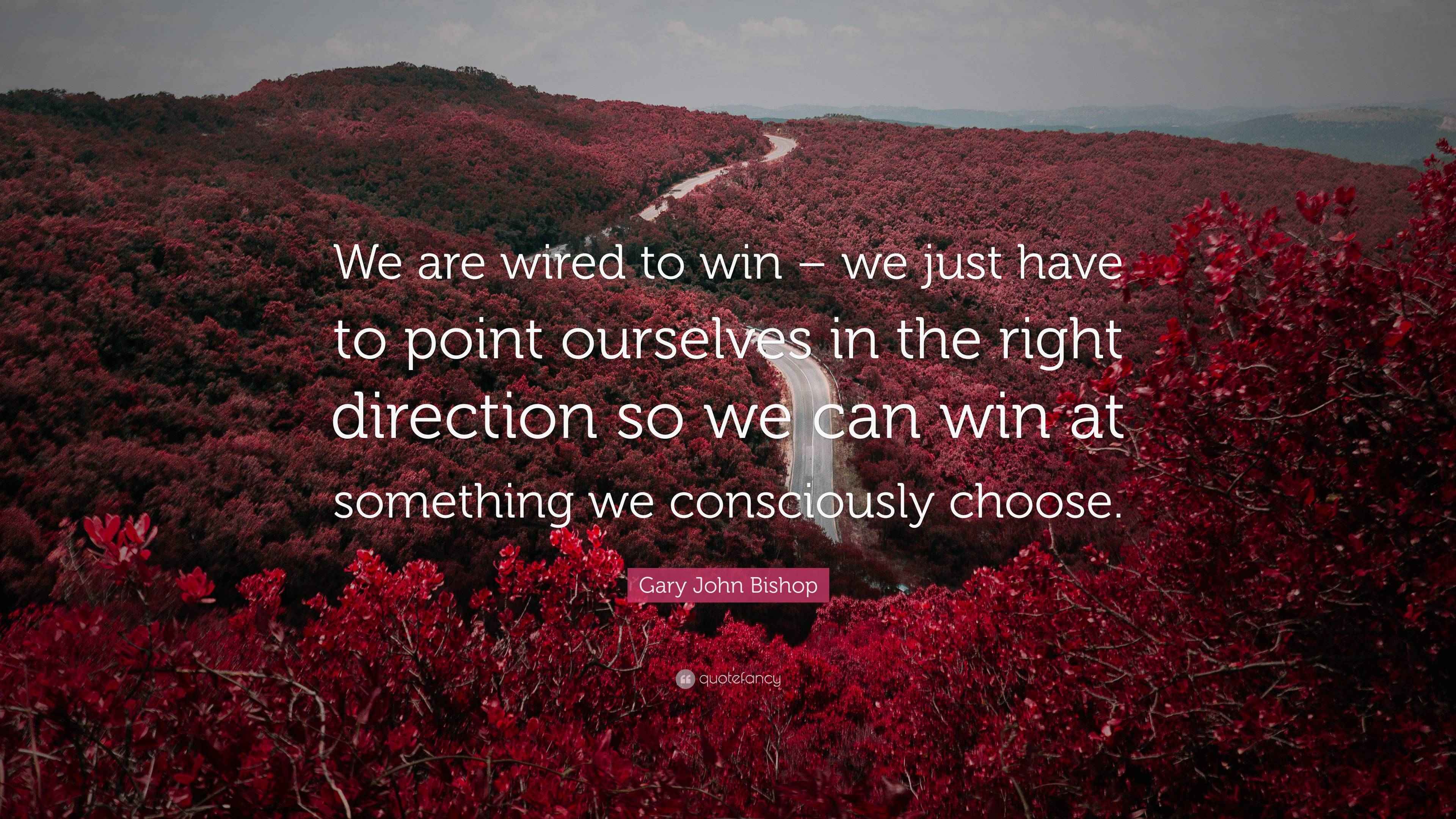 Gary John Bishop Quote: “We are wired to win – we just have to point ...