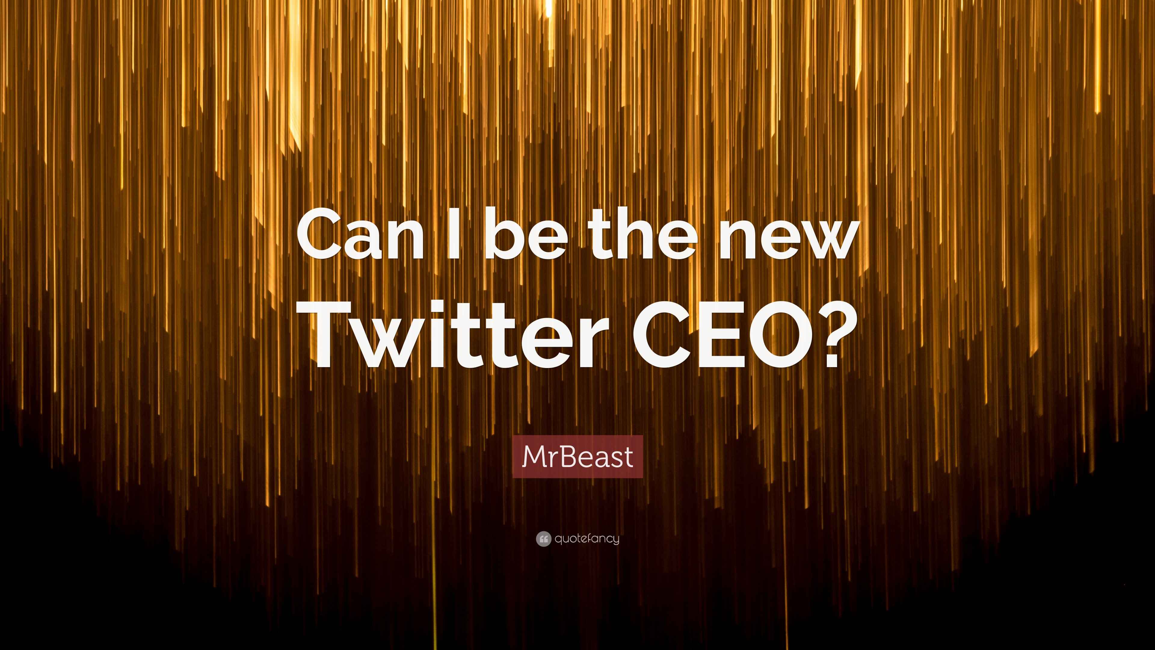 MrBeast Quote: “Can I be the new Twitter CEO?”