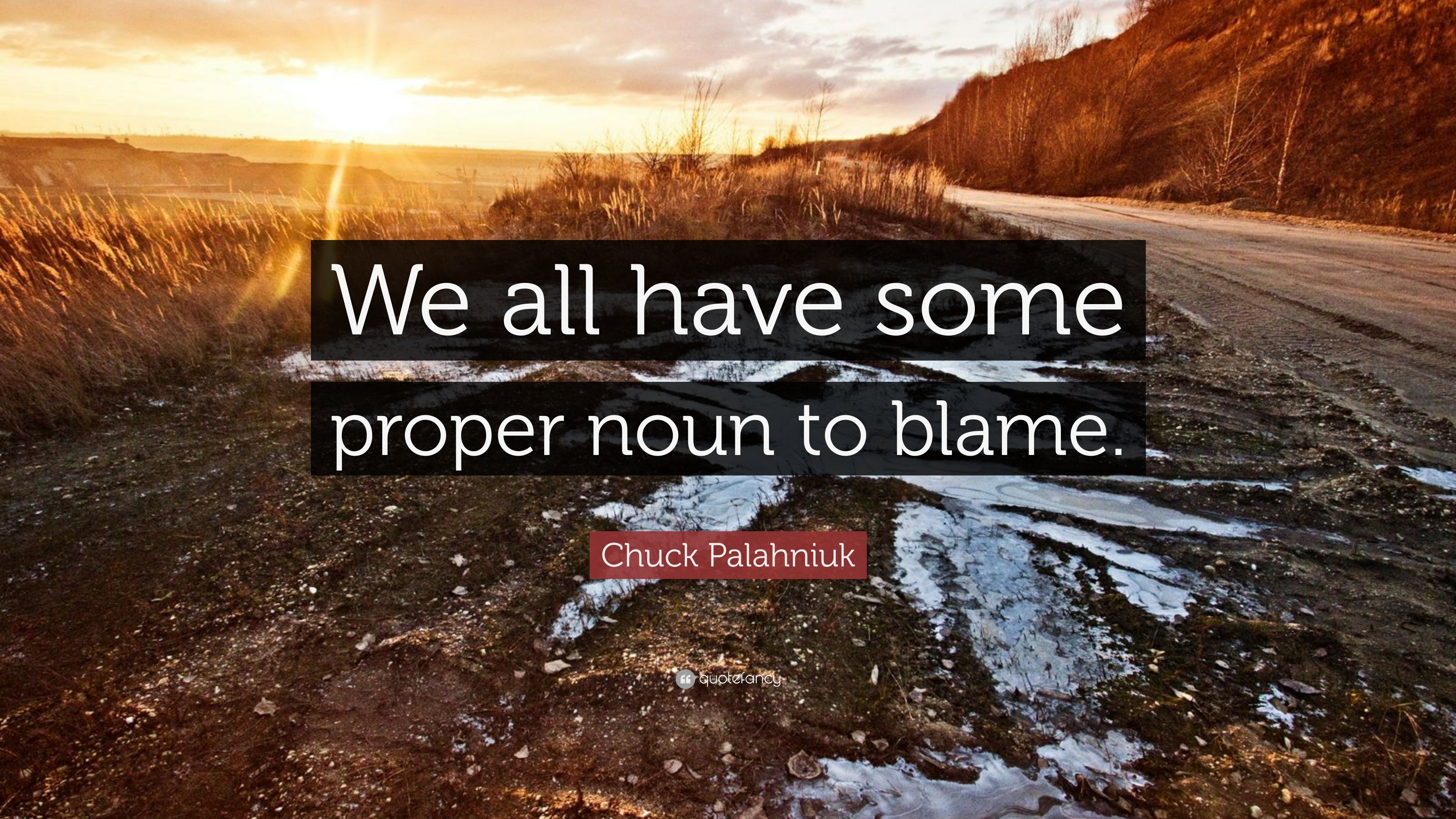 Chuck Palahniuk Quote: “We all have some proper noun to blame.”