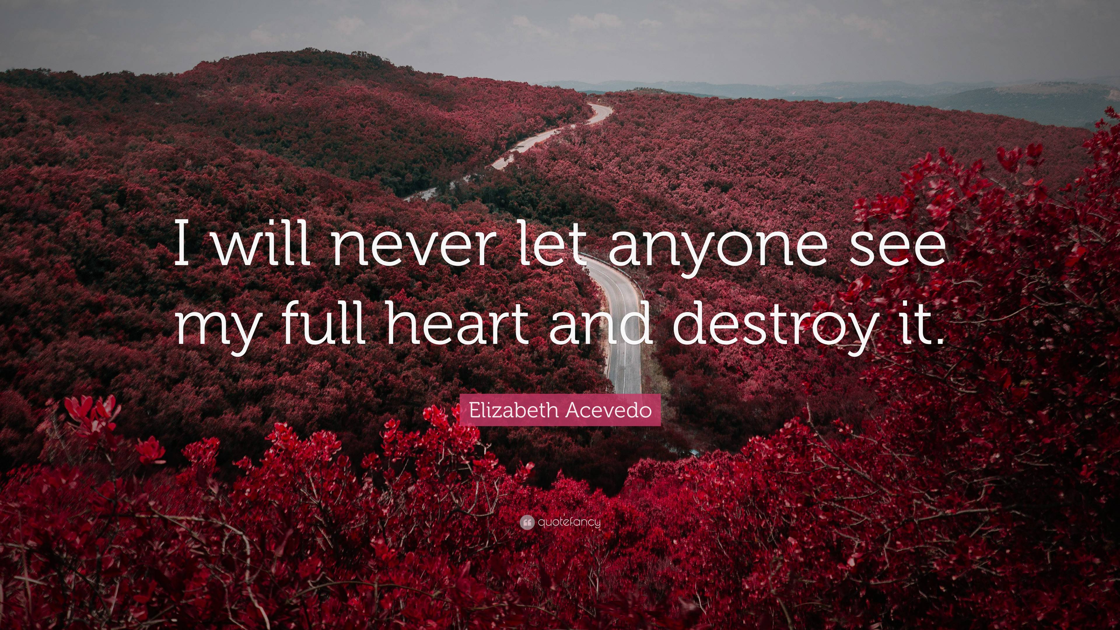Elizabeth Acevedo Quote: “I will never let anyone see my full heart and ...