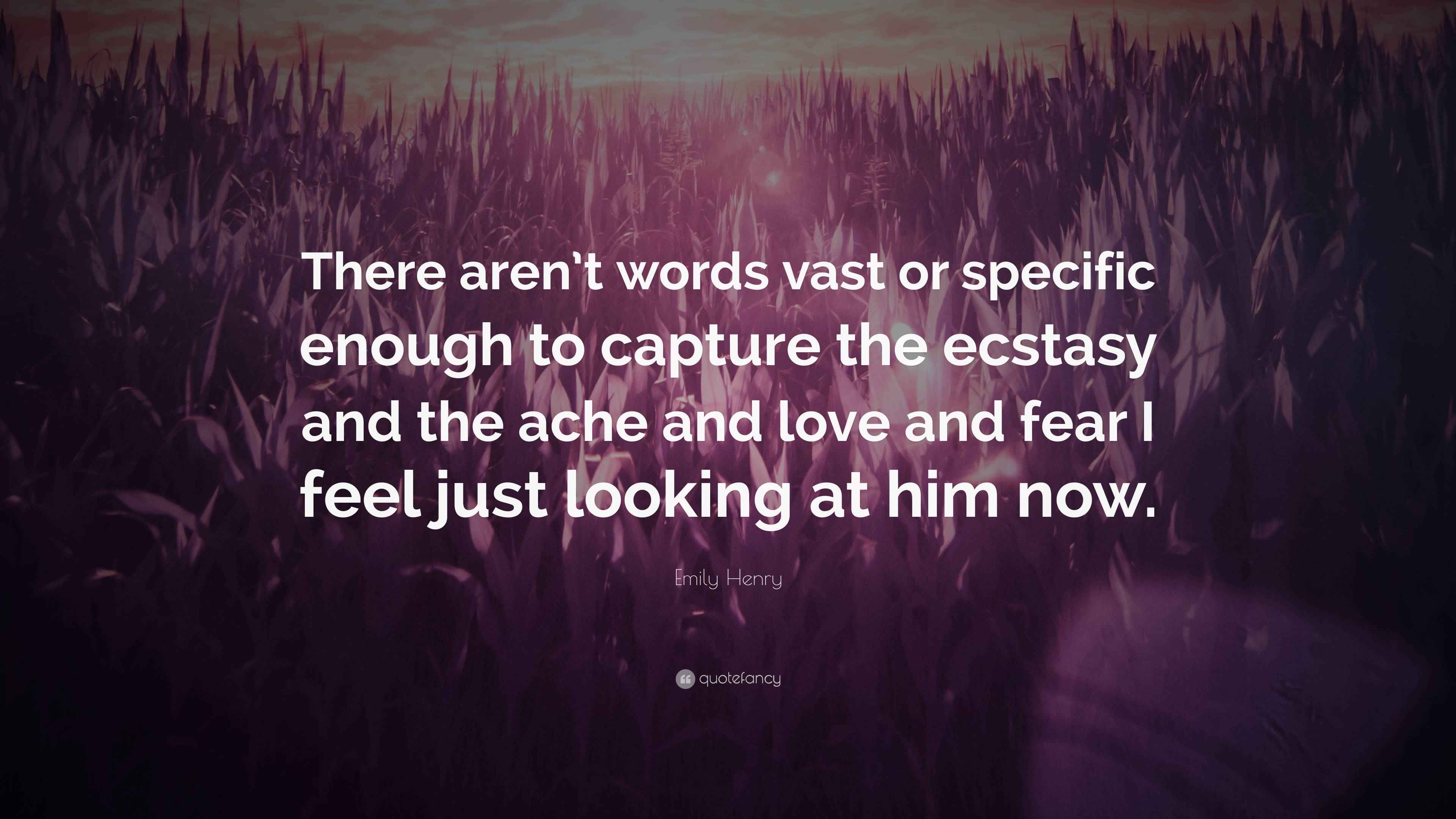 Emily Henry Quote: “There aren’t words vast or specific enough to ...