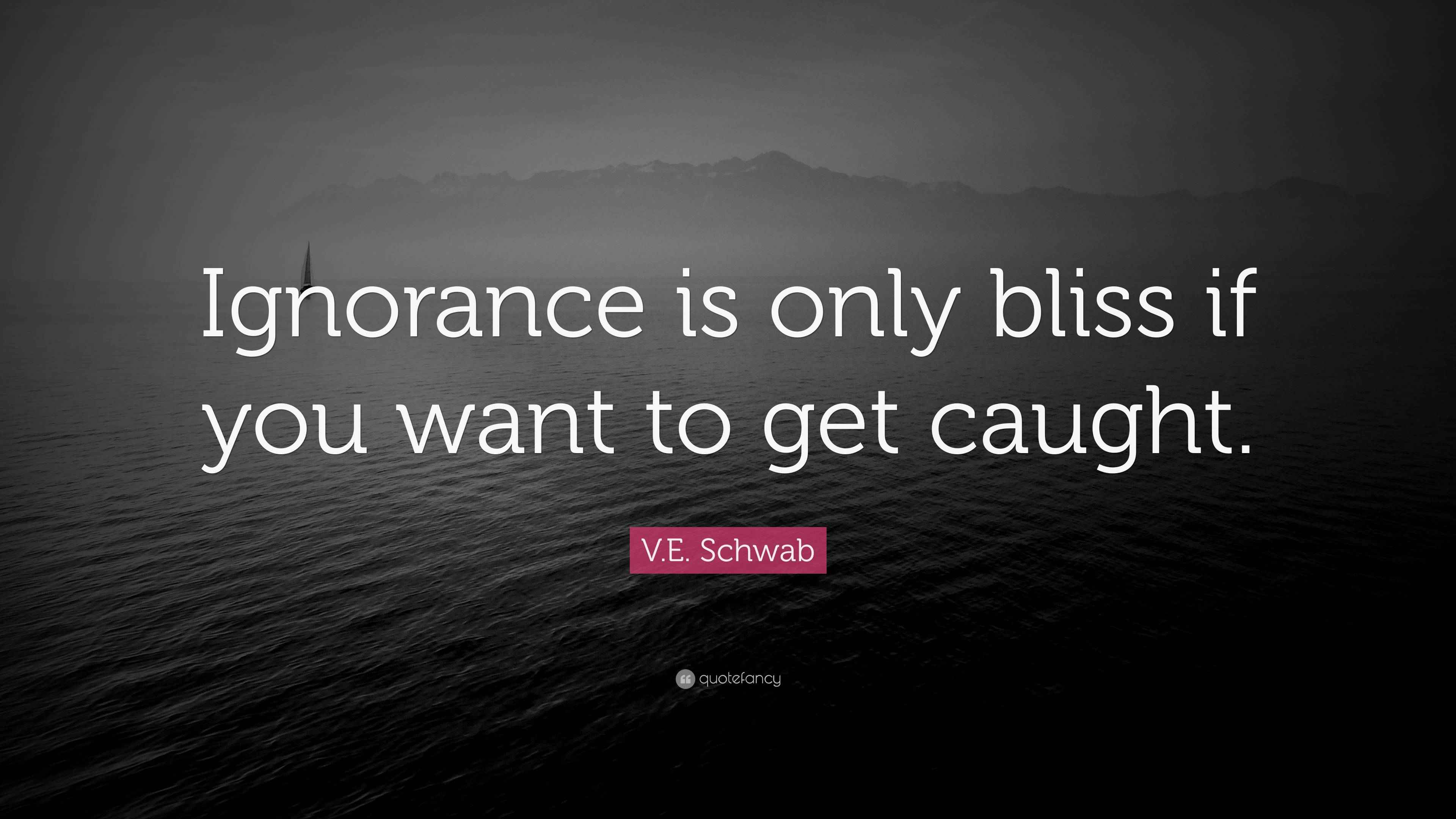 V.E. Schwab Quote: “Ignorance is only bliss if you want to get caught.”