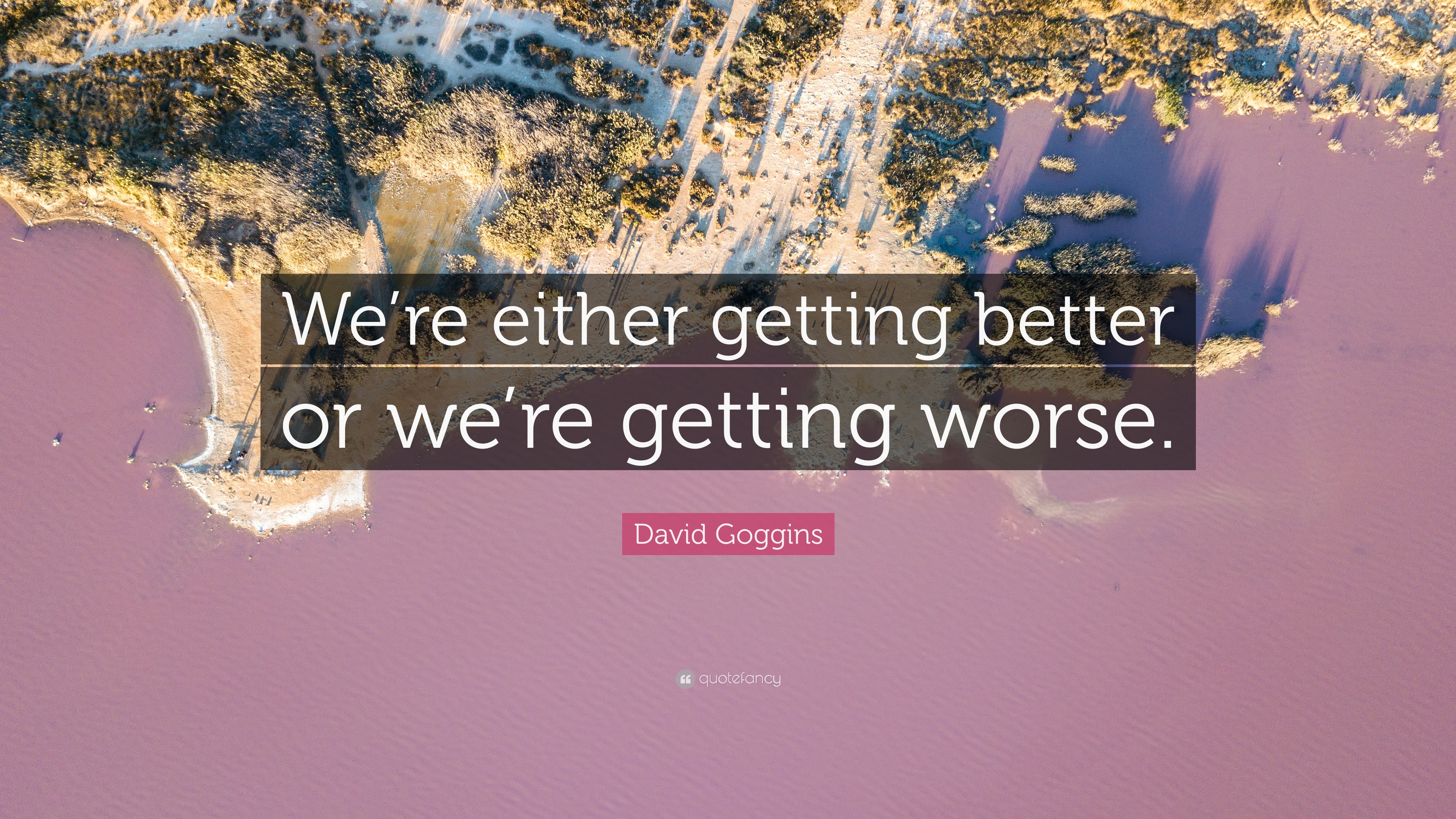David Goggins Quote: “We’re either getting better or we’re getting worse.”
