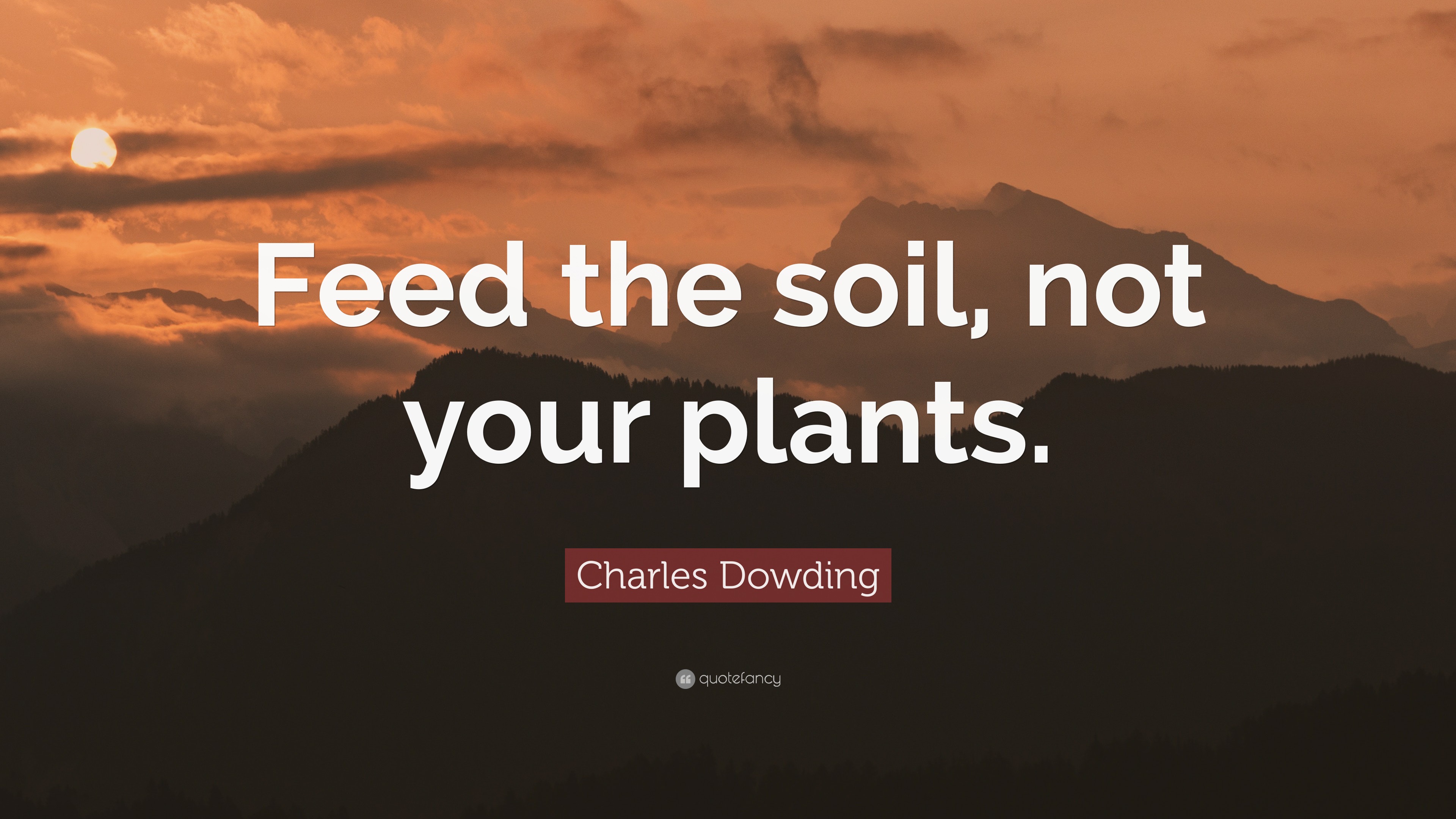 Charles Dowding Quote: “Feed the soil, not your plants.”