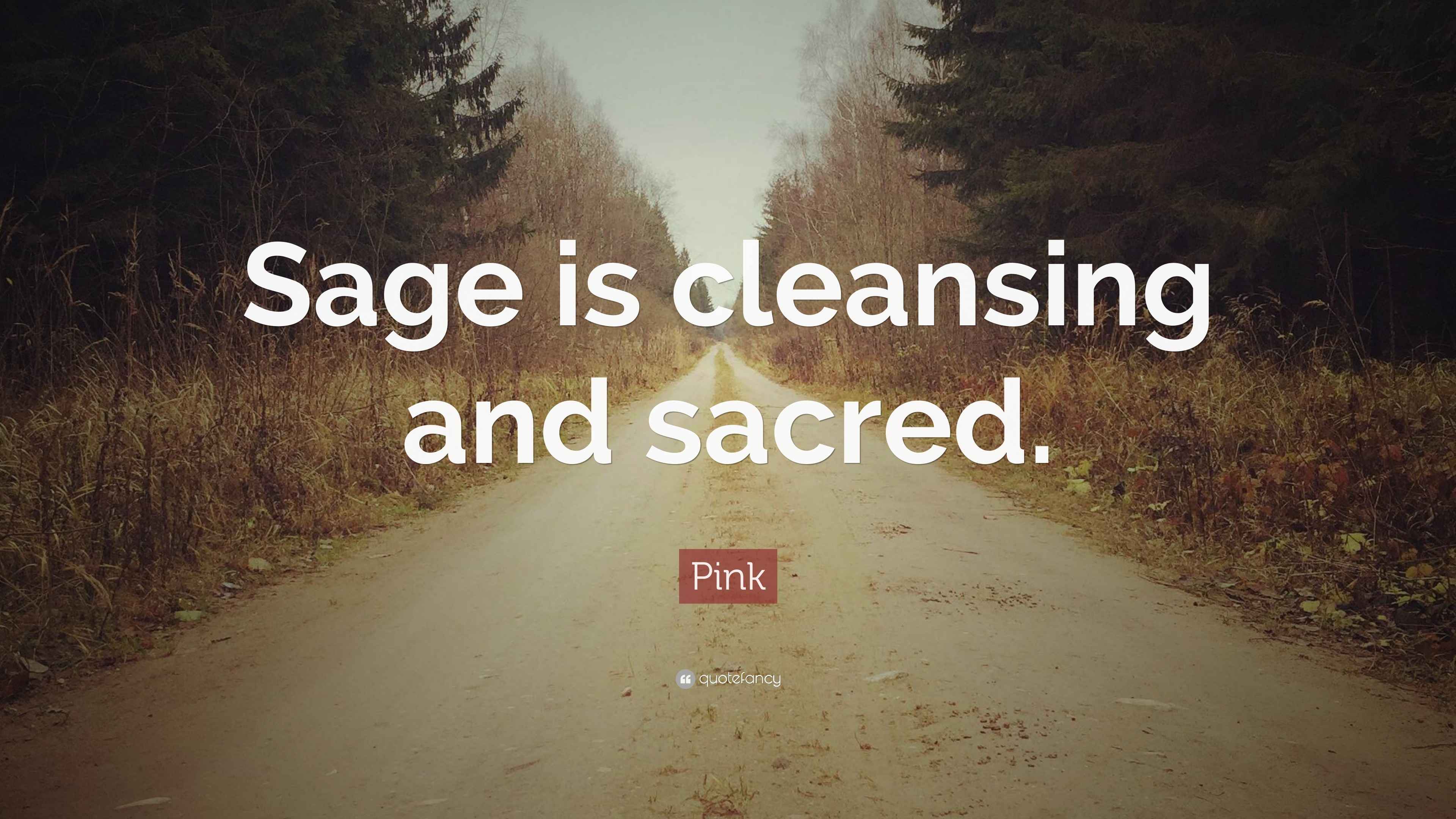 Pink Quote: “Sage is cleansing and sacred.”