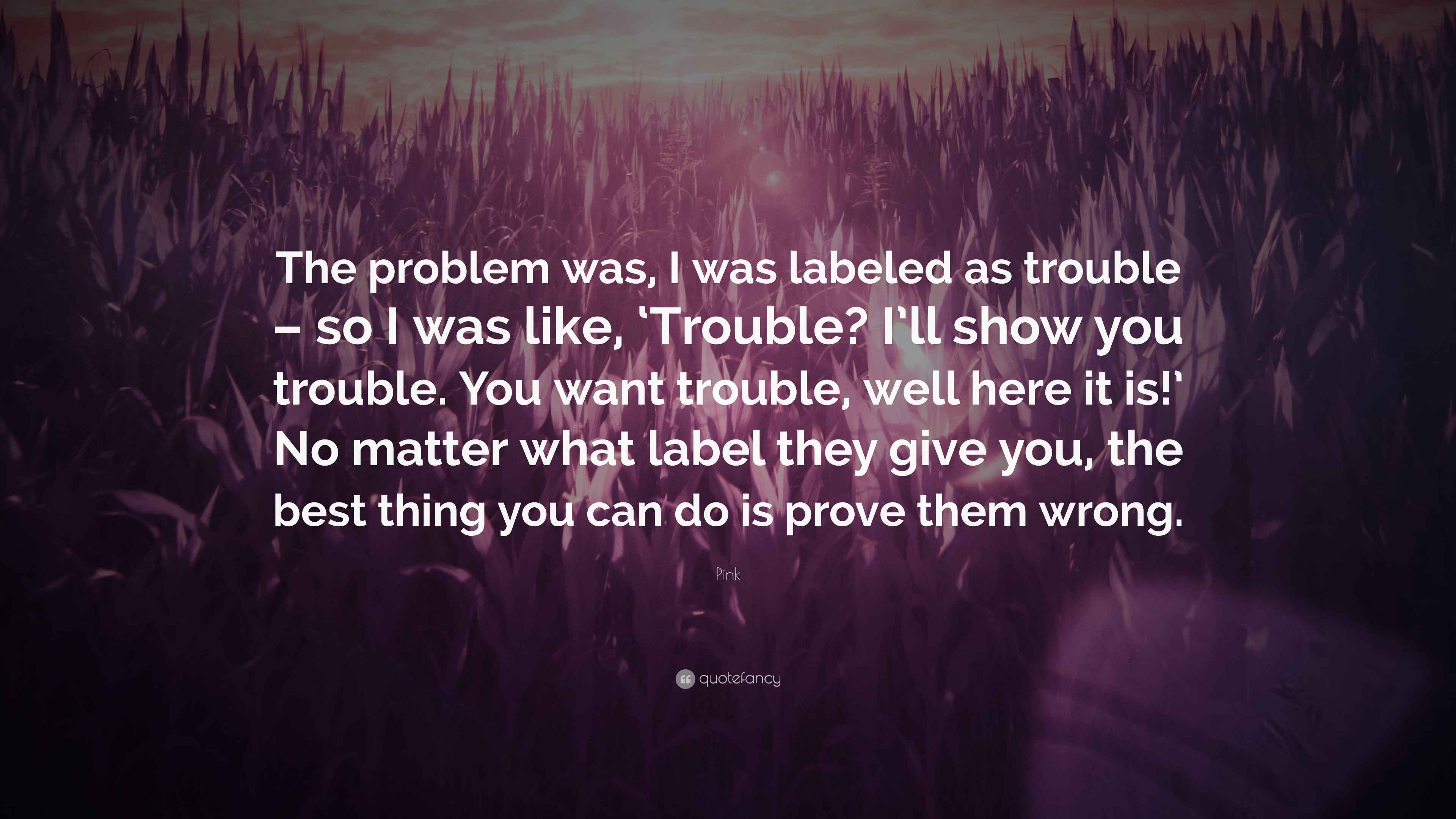 Pink Quote: “The problem was, I was labeled as trouble – so I was like ...