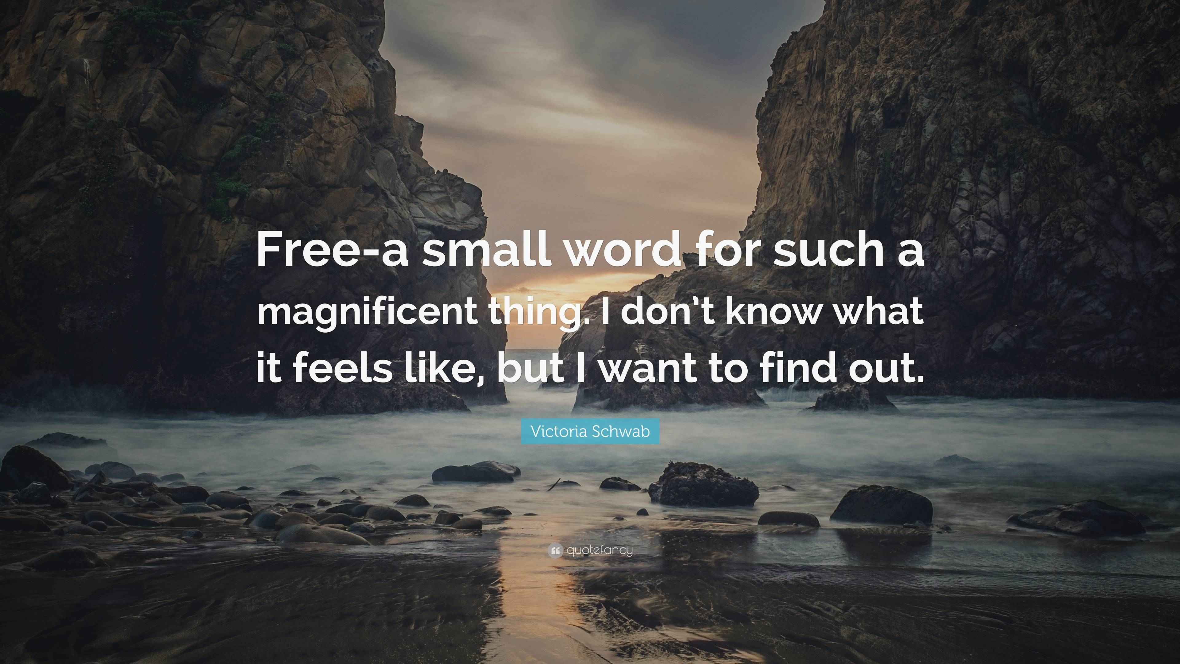 Victoria Schwab Quote: “Free-a small word for such a magnificent thing ...