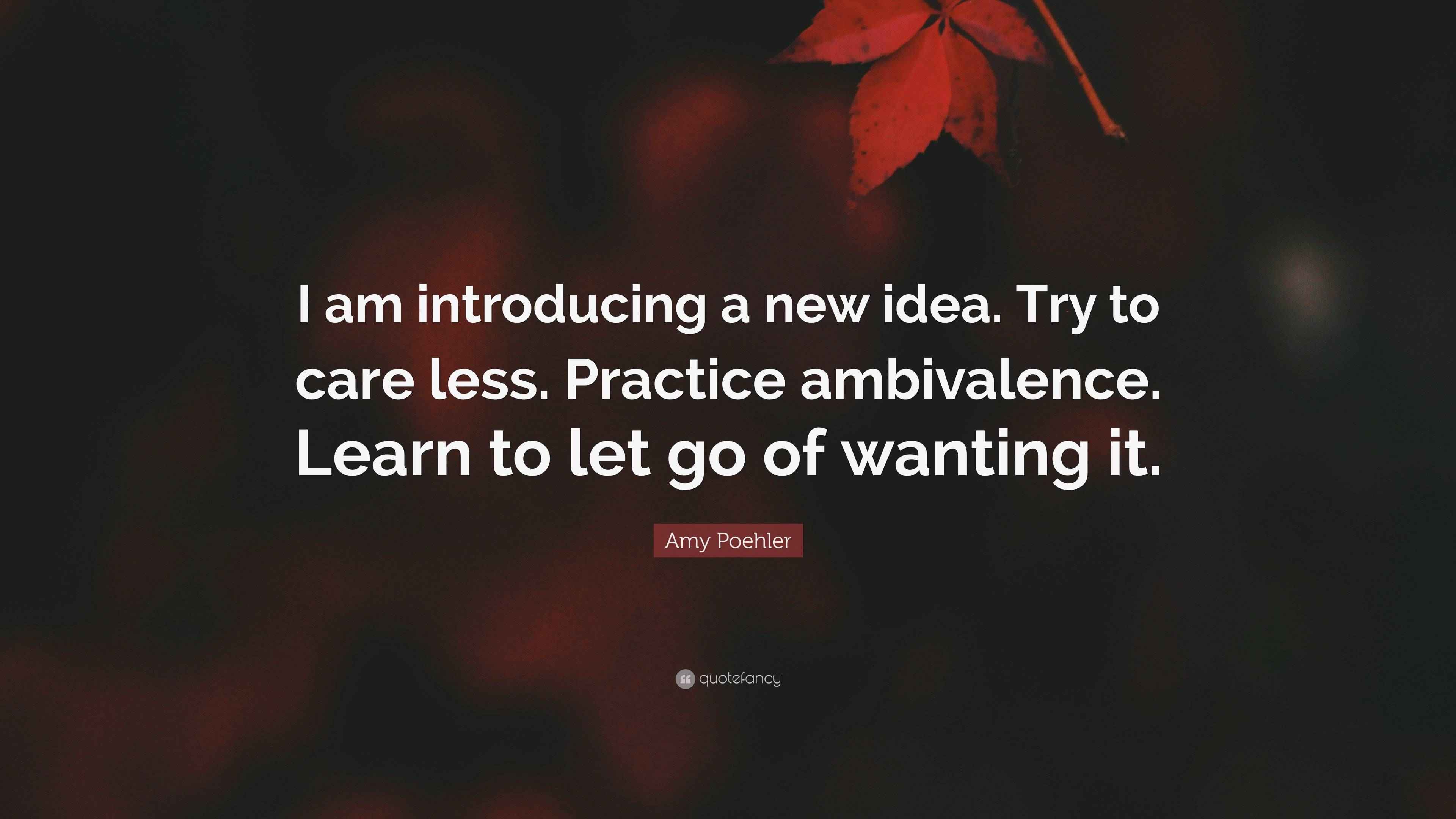 Amy Poehler Quote: “I am introducing a new idea. Try to care less ...