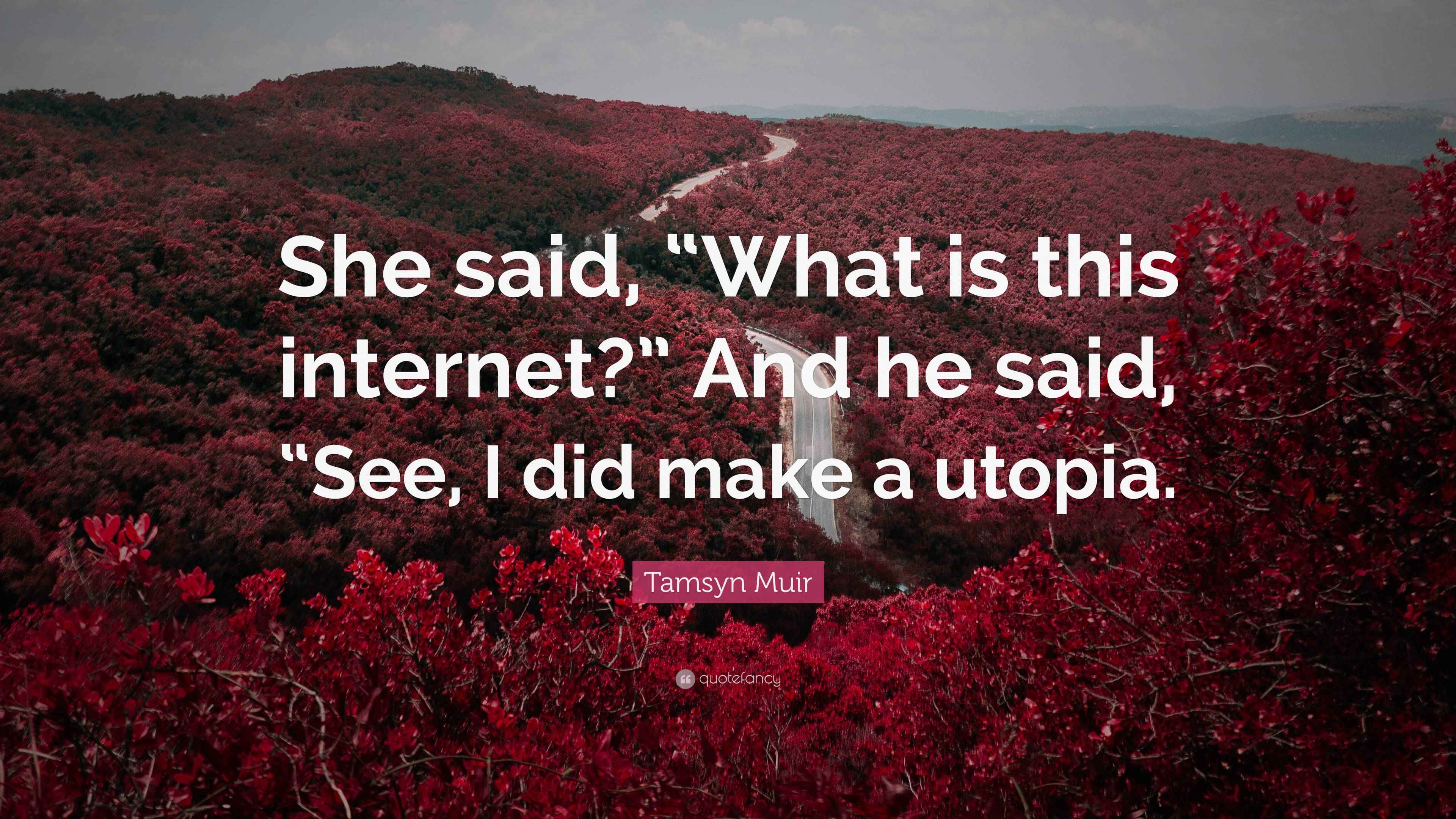 Tamsyn Muir Quote: “She said, “What is this internet?” And he said ...