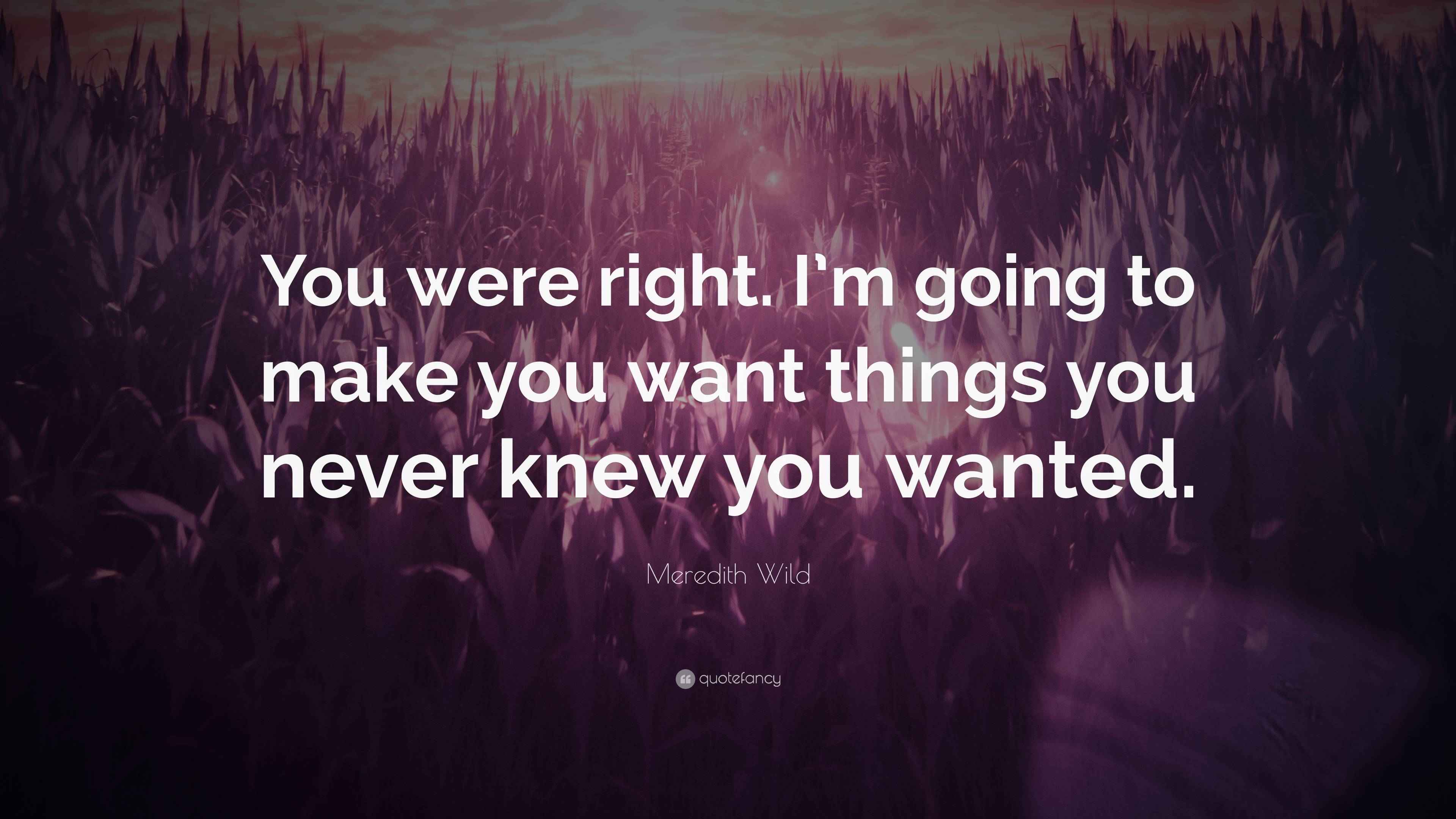 Meredith Wild Quote: “You were right. I’m going to make you want things ...