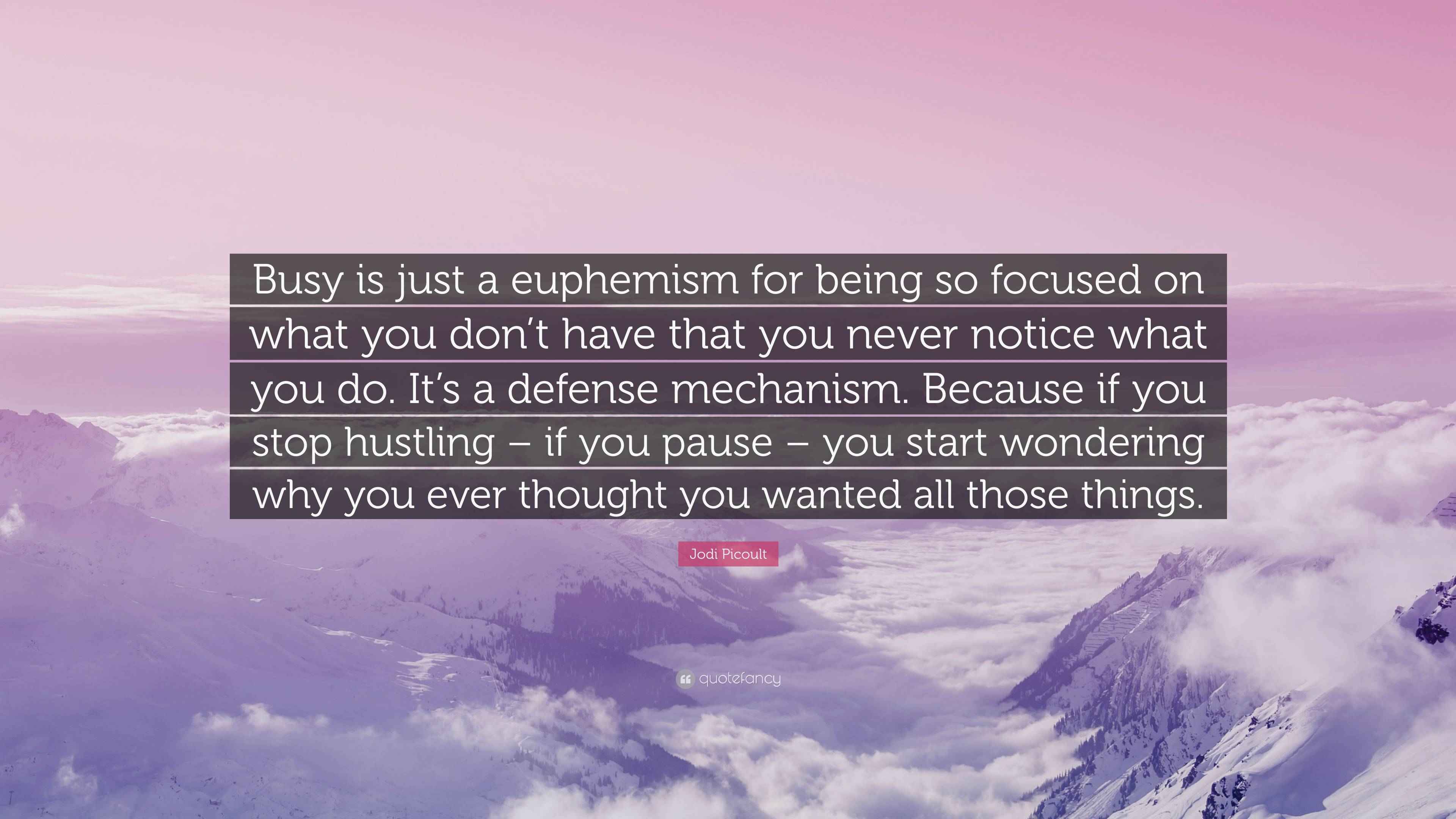 Jodi Picoult Quote: “Busy is just a euphemism for being so focused on ...
