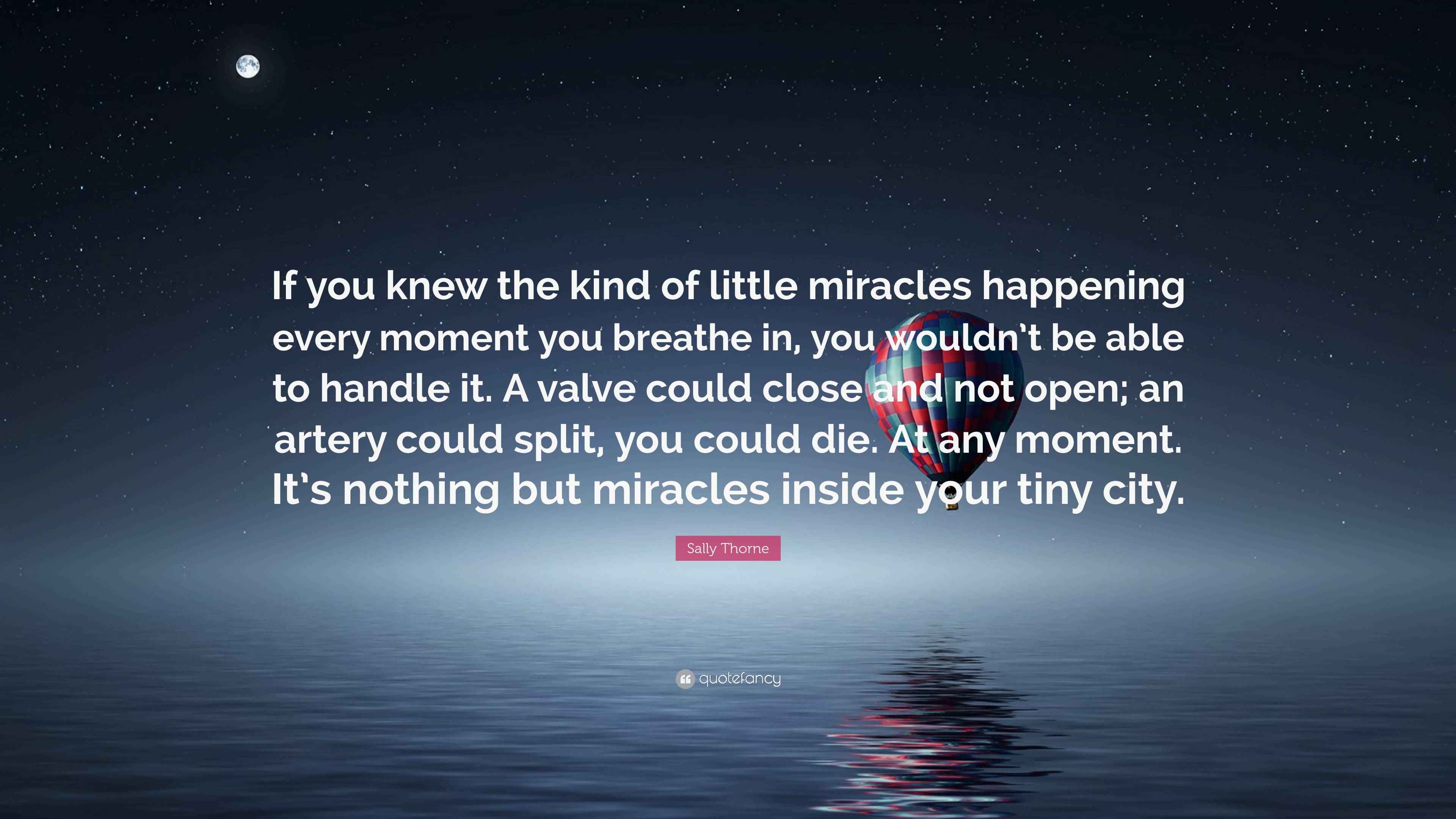 Sally Thorne Quote: “If you knew the kind of little miracles happening ...