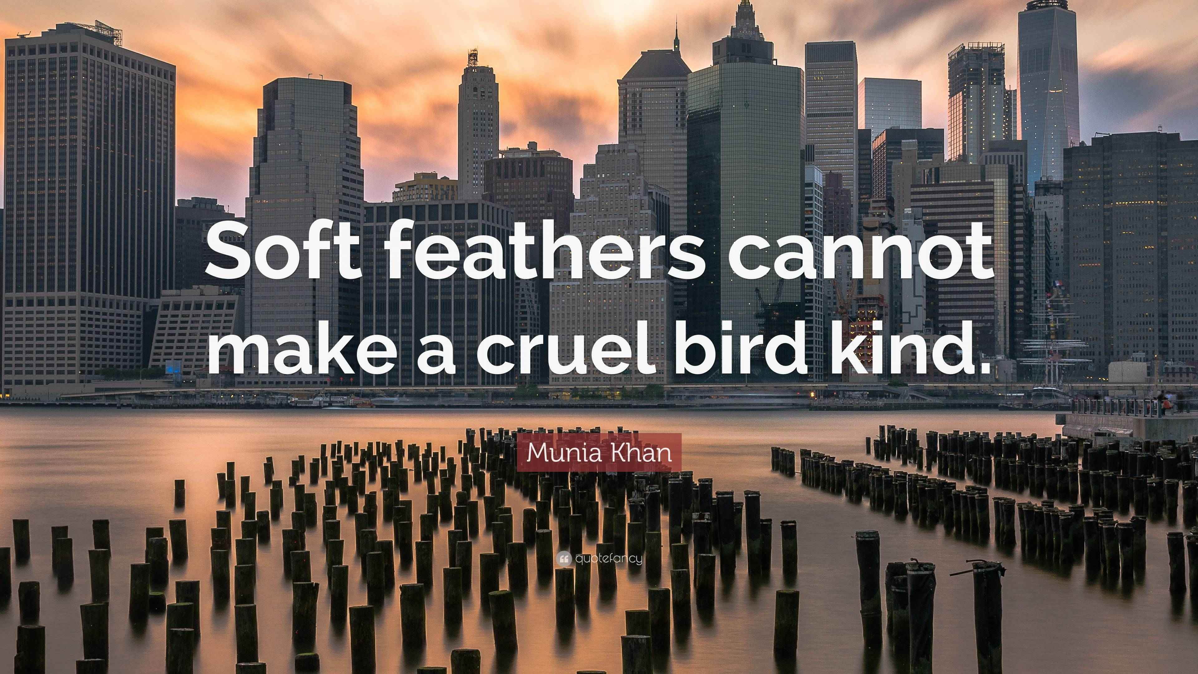 Munia Khan Quote: “Soft feathers cannot make a cruel bird kind.”