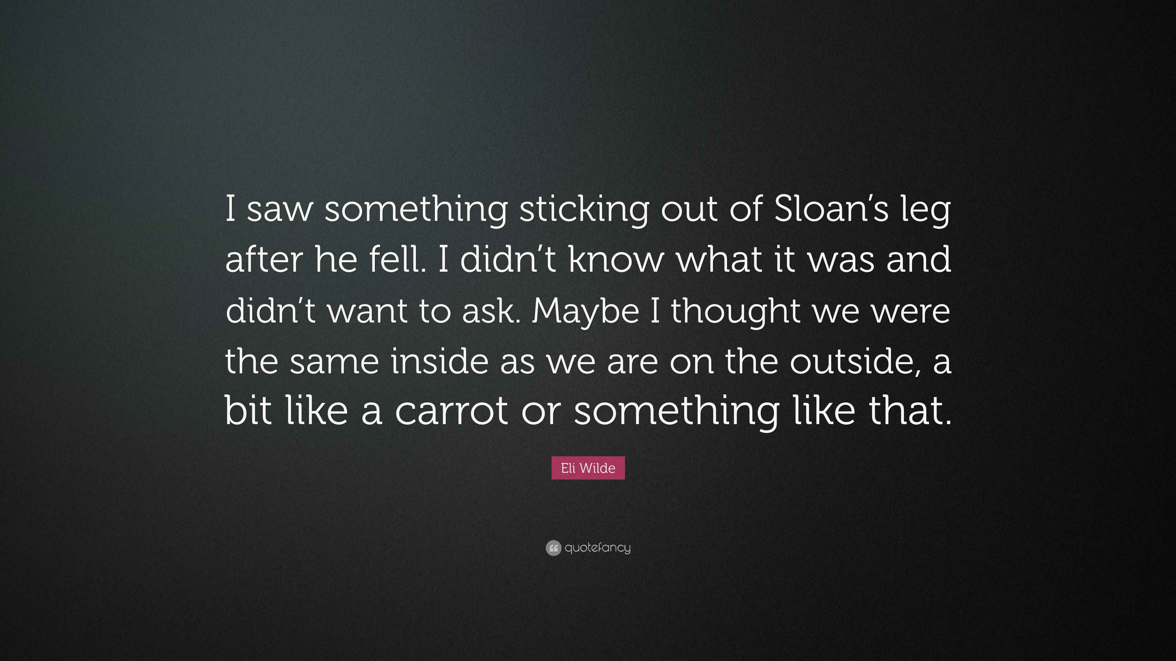 Eli Wilde Quote: “I saw something sticking out of Sloan’s leg after he ...