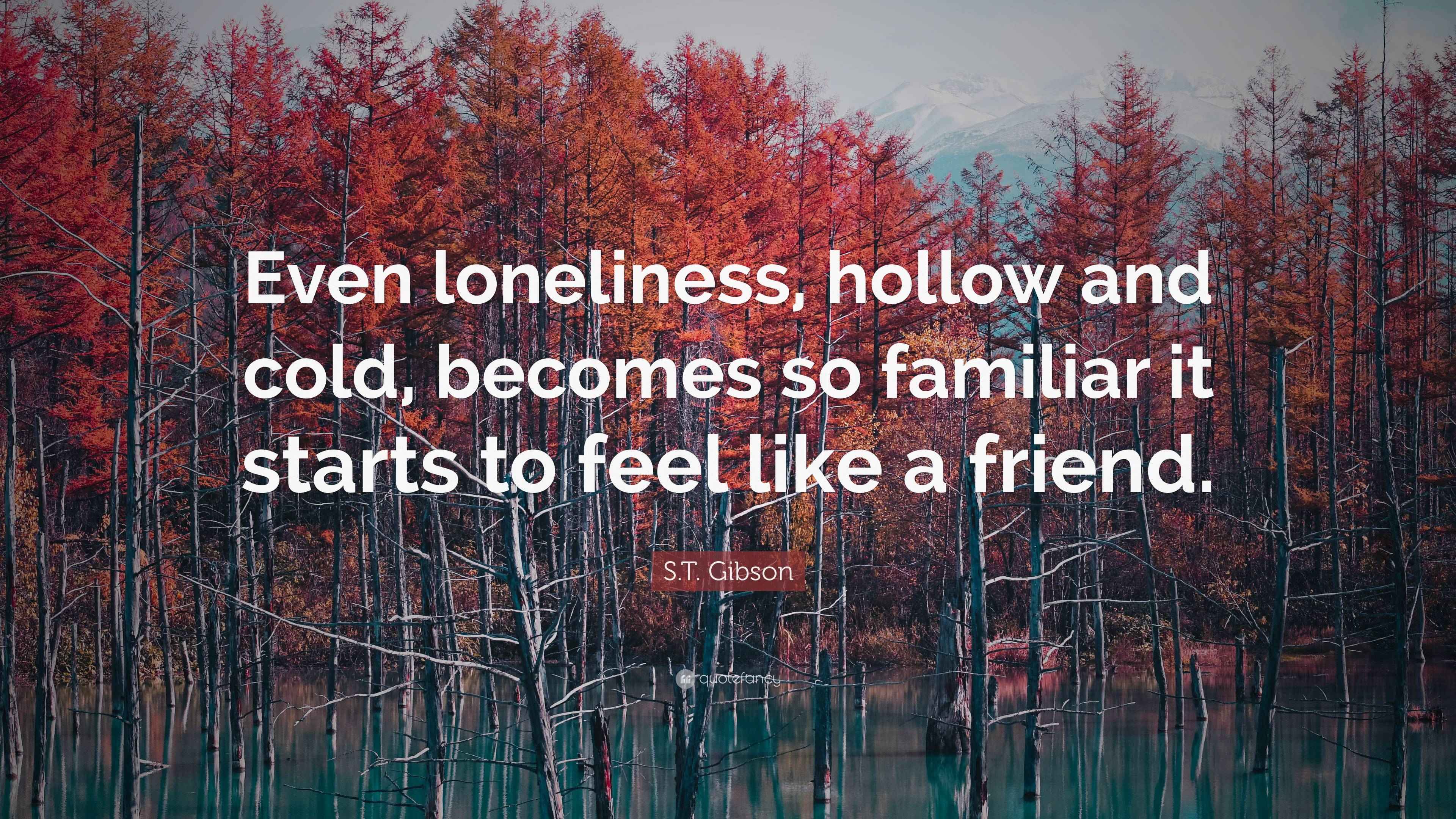S.T. Gibson Quote: “Even loneliness, hollow and cold, becomes so ...