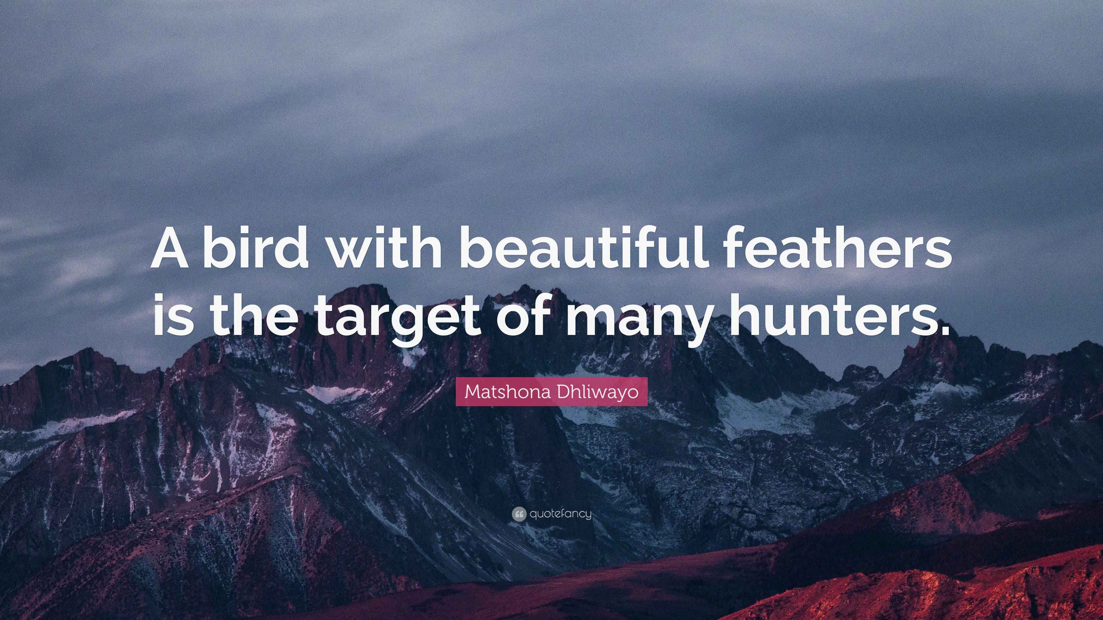 Beautiful Feather Quotes The Thing With Feathers