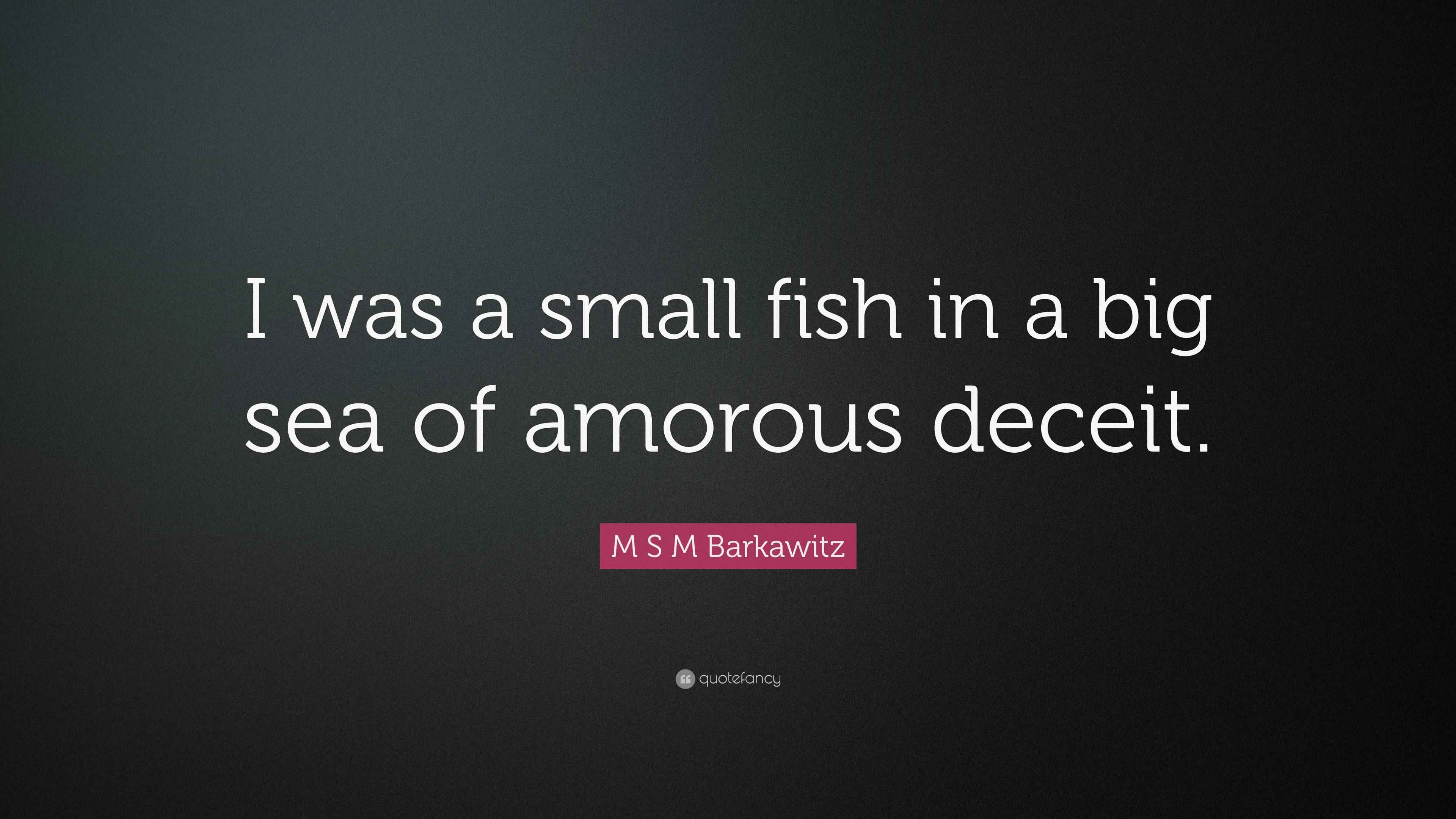 M S M Barkawitz Quote: “I was a small fish in a big sea of amorous deceit.”