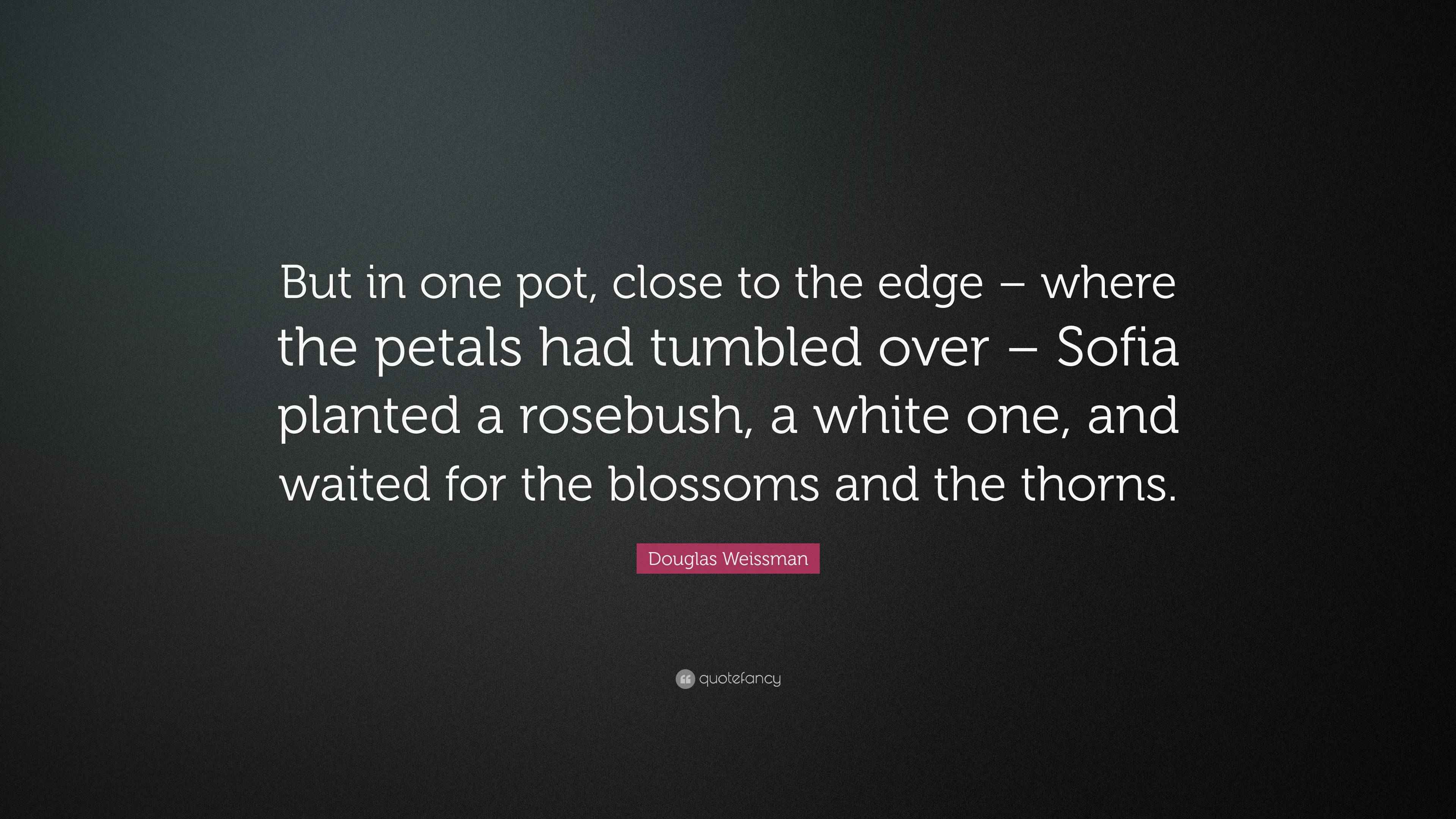 Douglas Weissman Quote: “But in one pot, close to the edge – where the ...