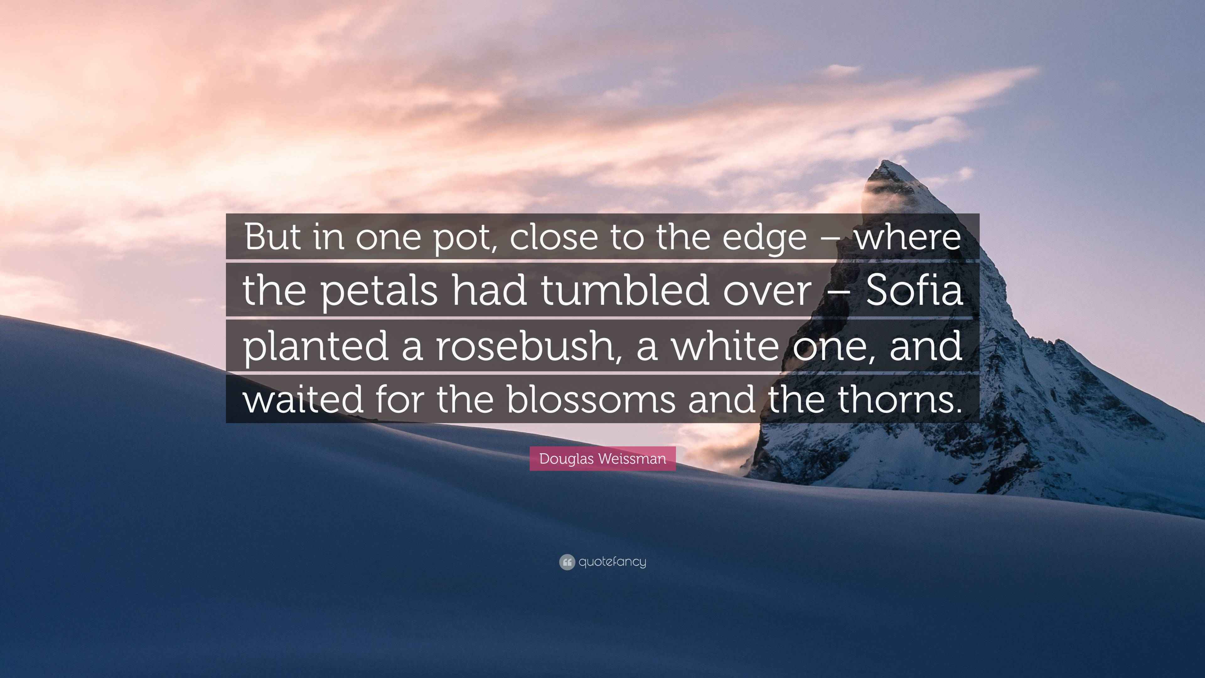 Douglas Weissman Quote: “But in one pot, close to the edge – where the ...
