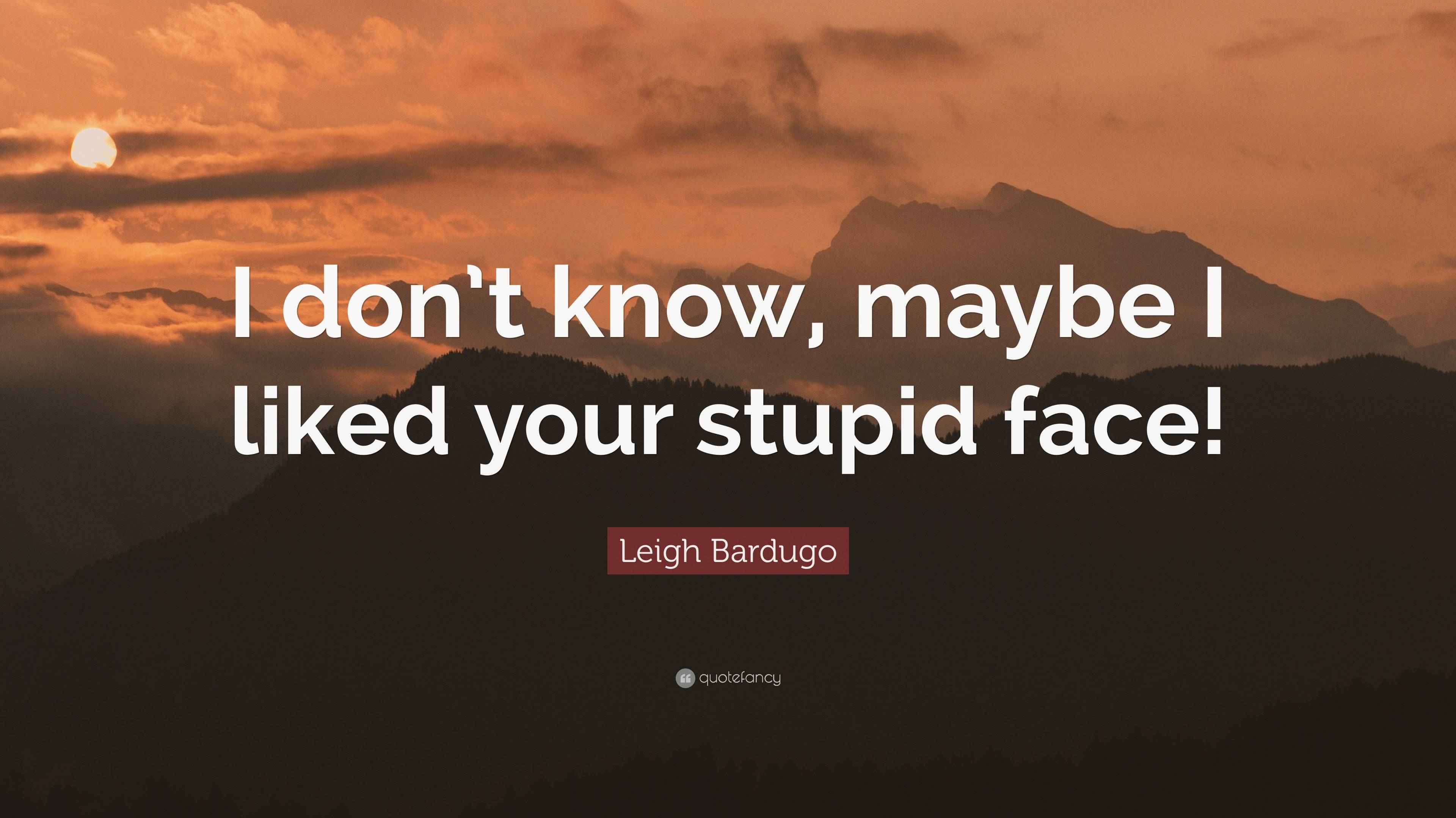 Leigh Bardugo Quote: “I don’t know, maybe I liked your stupid face!”