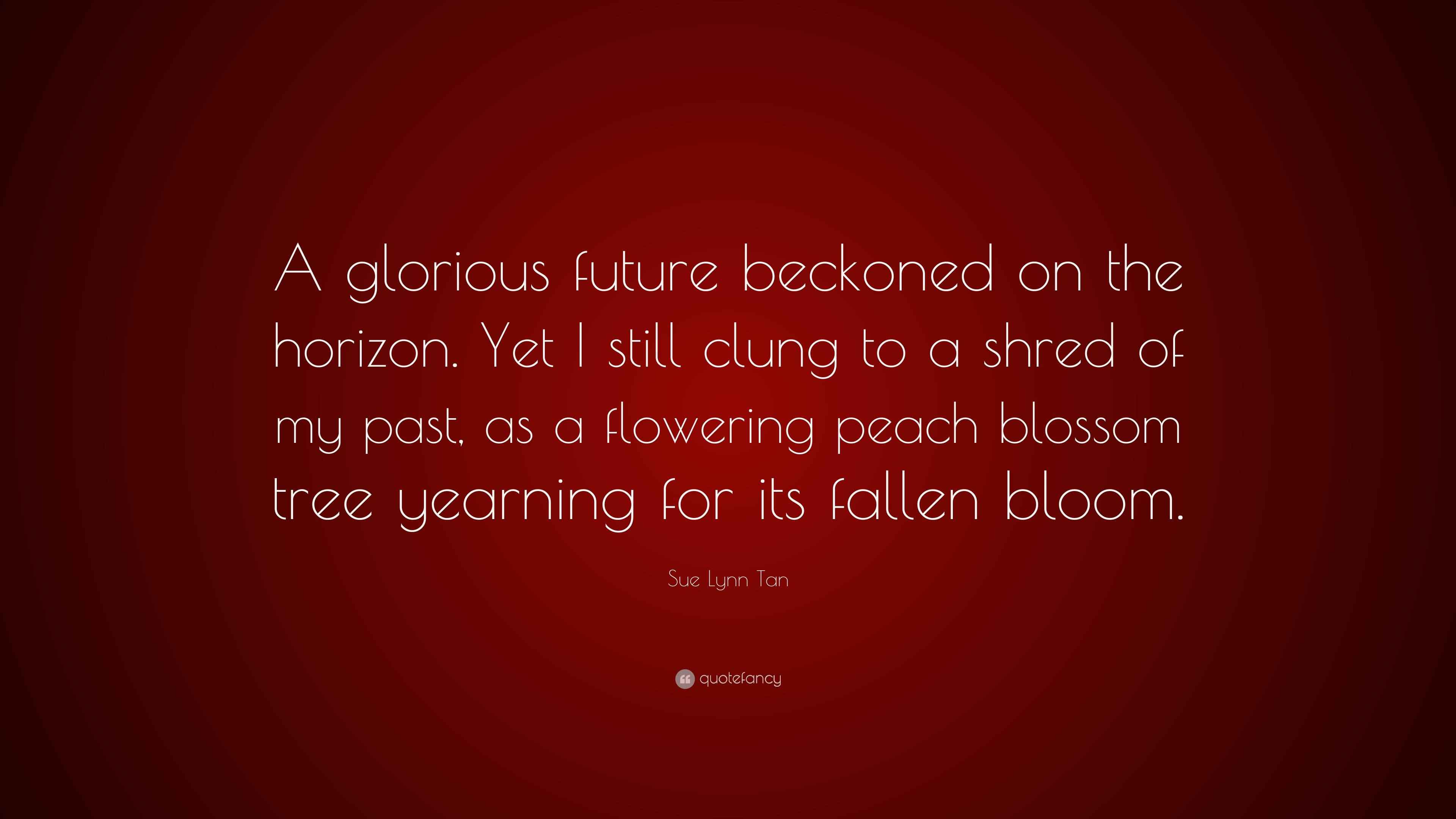 Sue Lynn Tan Quote: “A glorious future beckoned on the horizon. Yet I ...