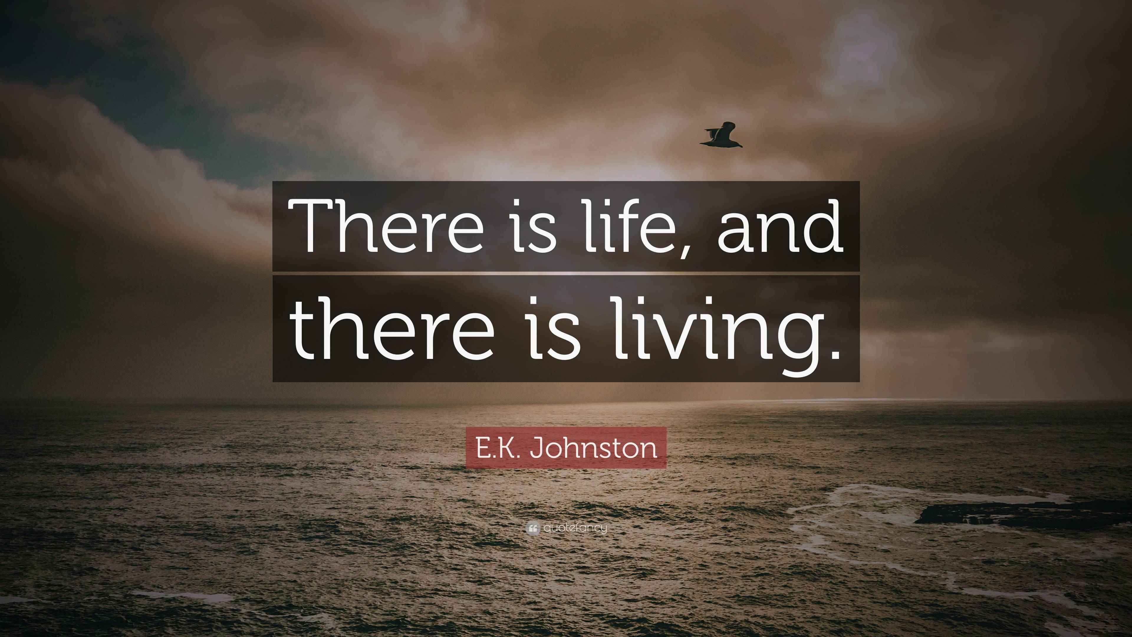 E.K. Johnston Quote: “There is life, and there is living.”