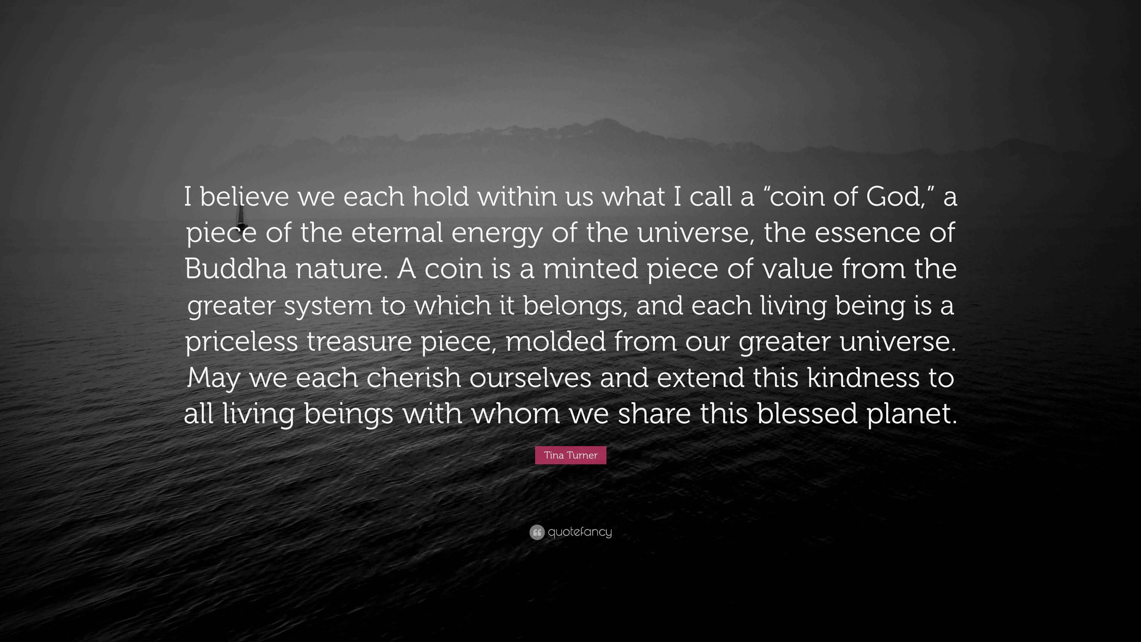 Tina Turner Quote: “I believe we each hold within us what I call a ...