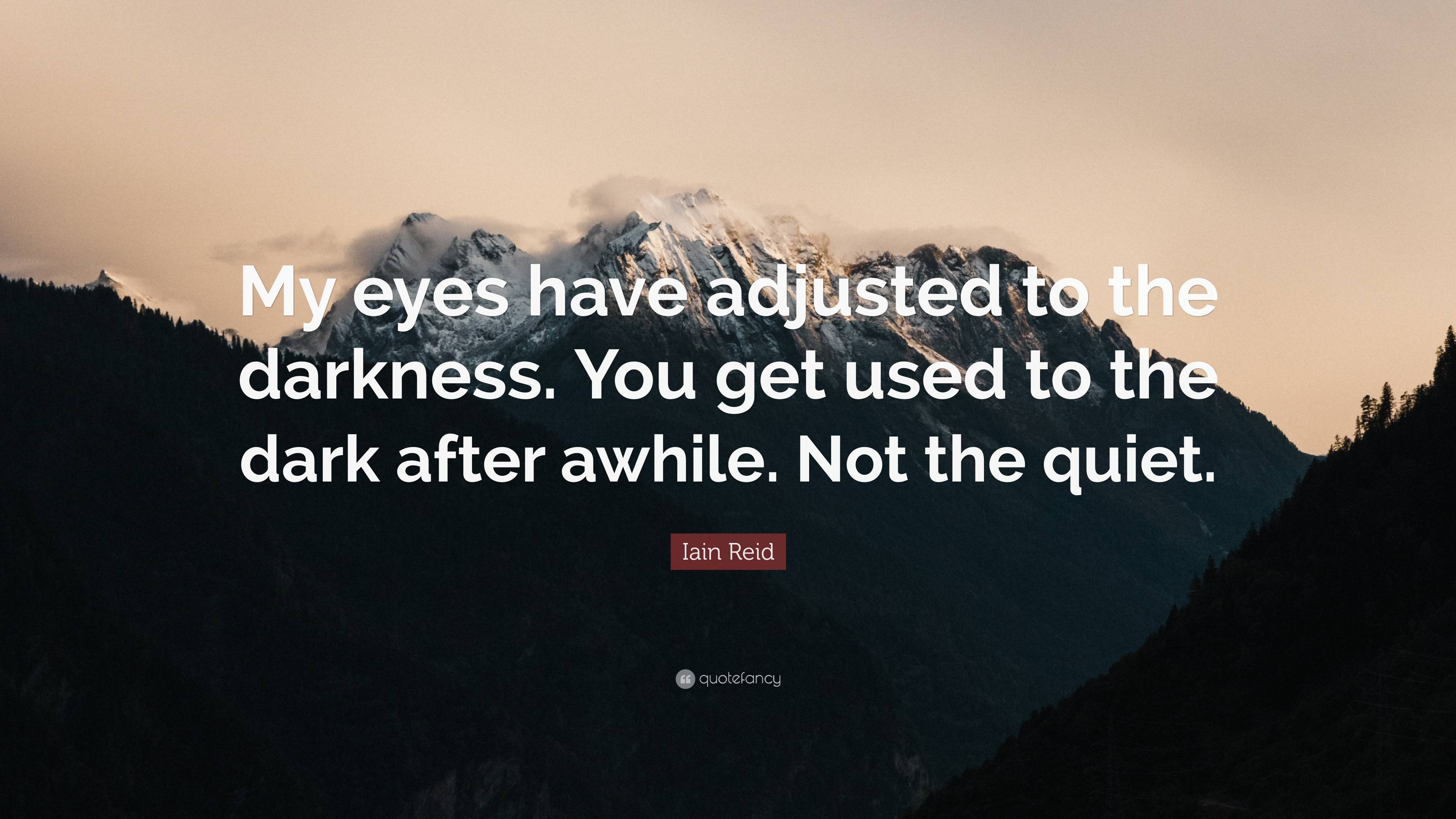 Iain Reid Quote: “My eyes have adjusted to the darkness. You get used ...