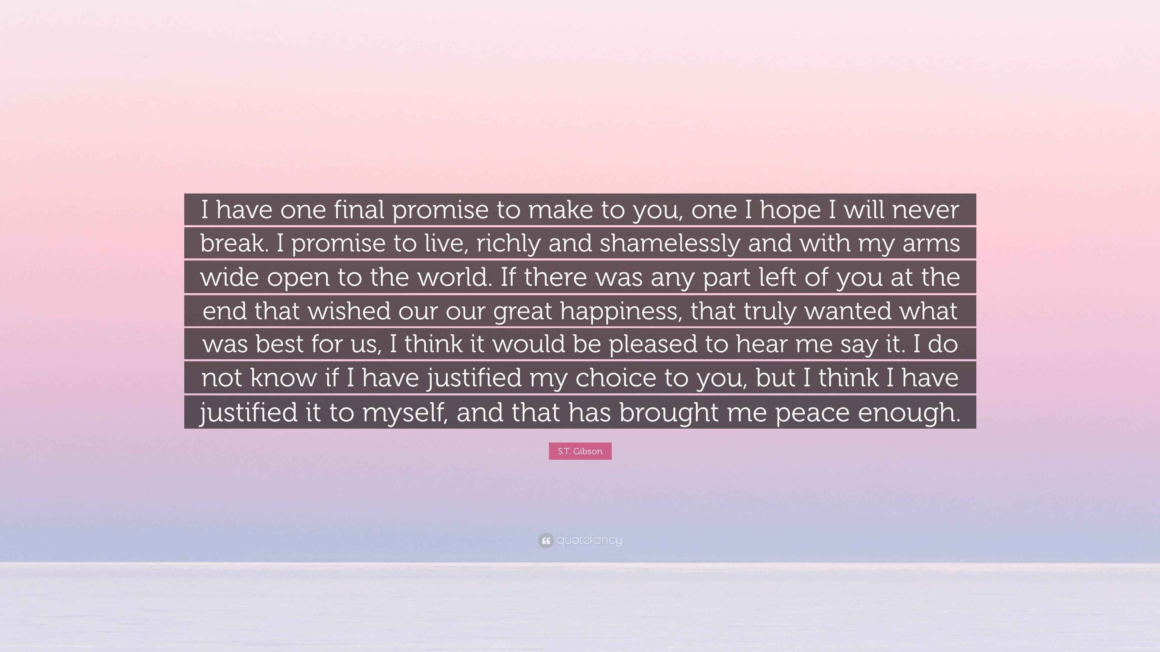 S.T. Gibson Quote: “I have one final promise to make to you, one I hope ...