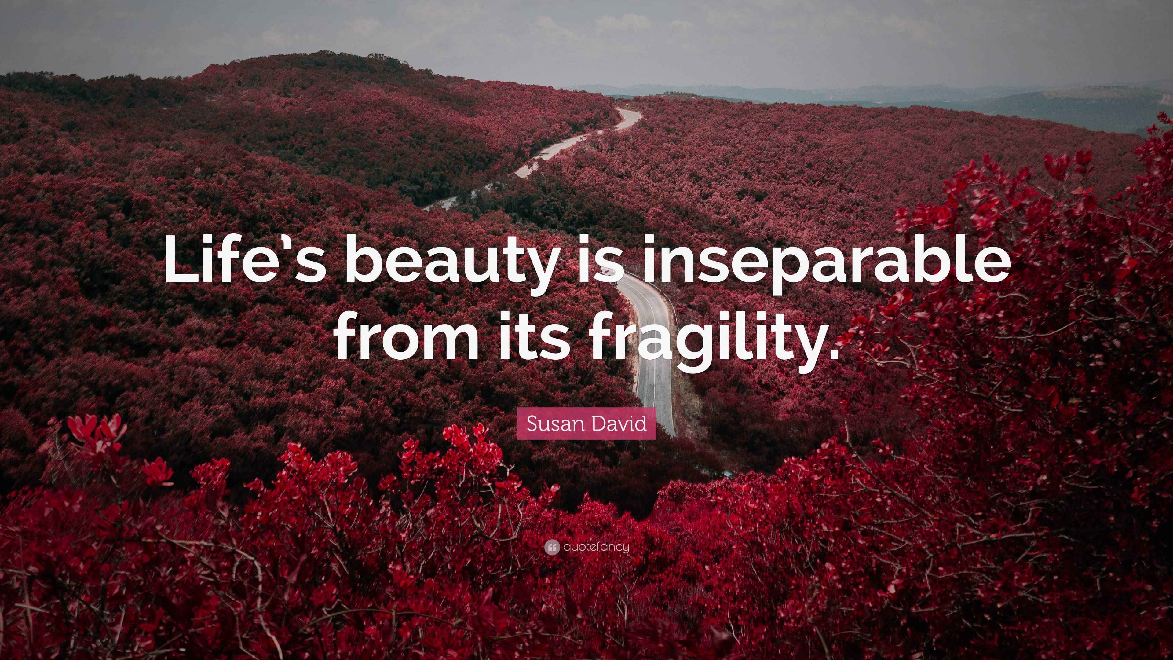 Susan David Quote: “Life’s beauty is inseparable from its fragility.”