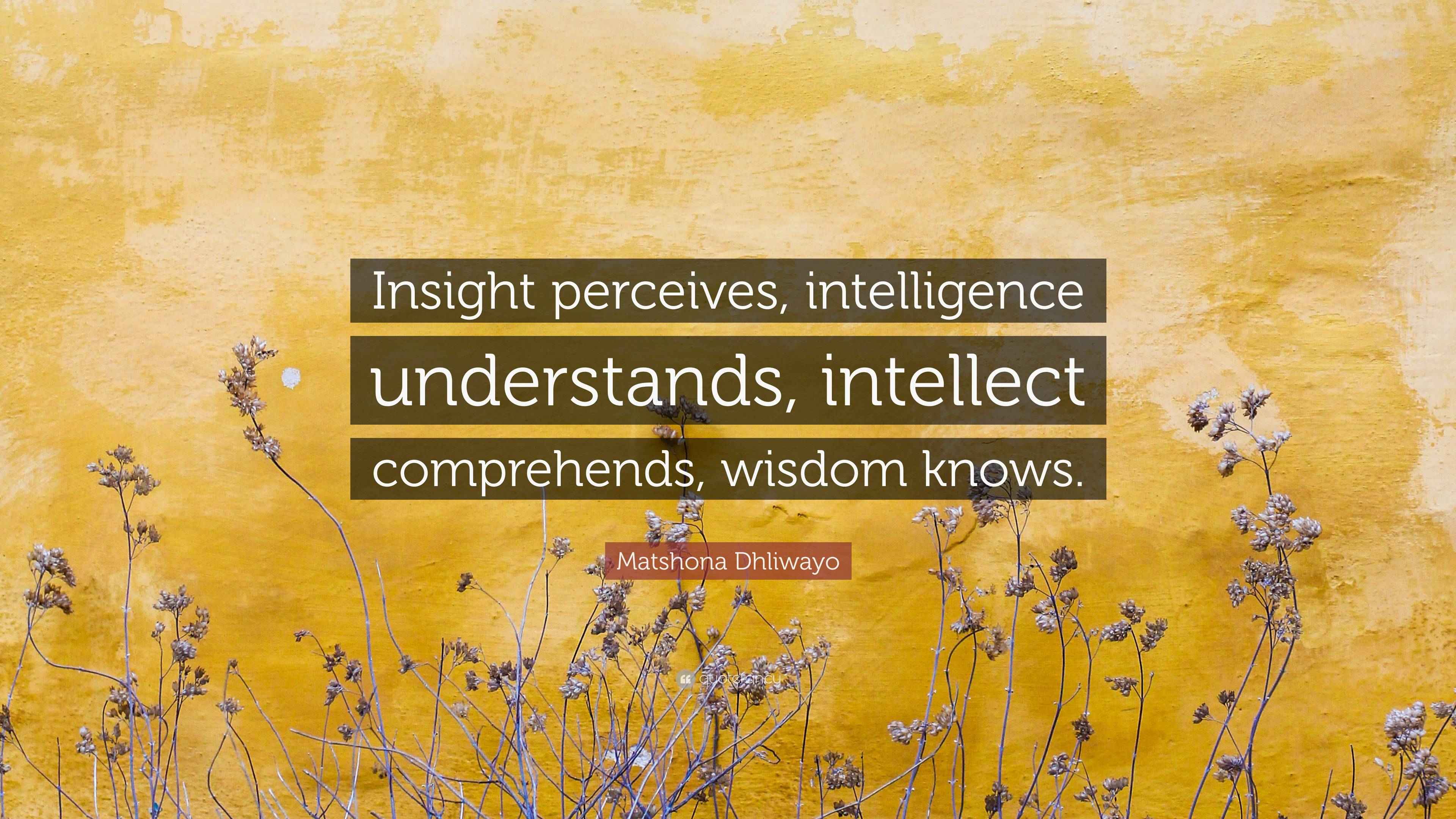 Matshona Dhliwayo Quote: “Insight perceives, intelligence understands ...