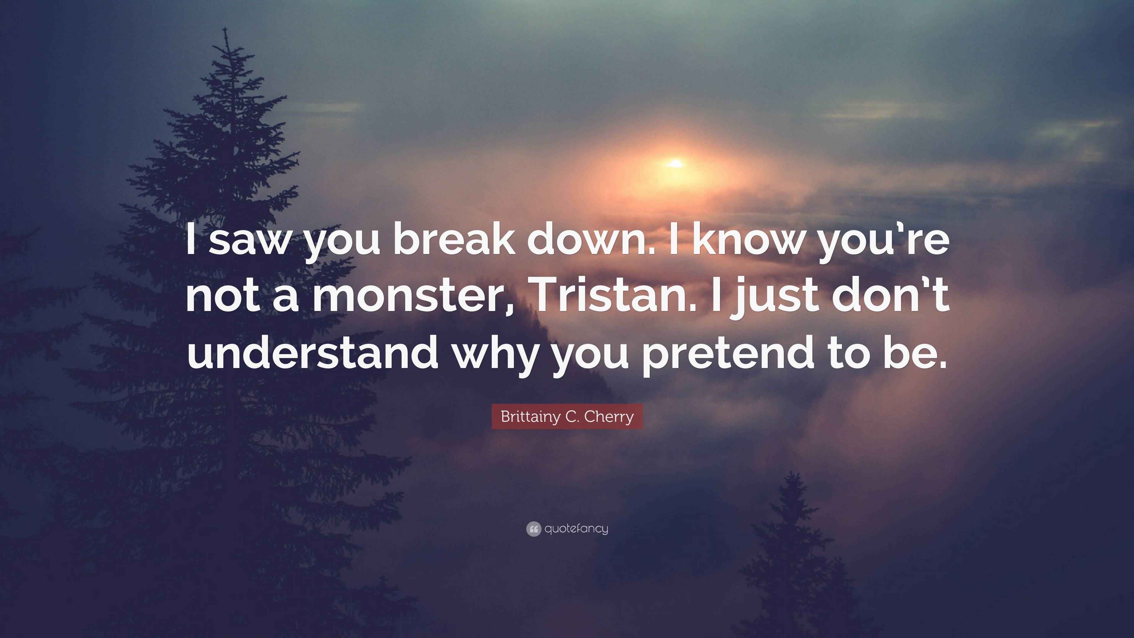 Brittainy C. Cherry Quote: “I saw you break down. I know you’re not a ...