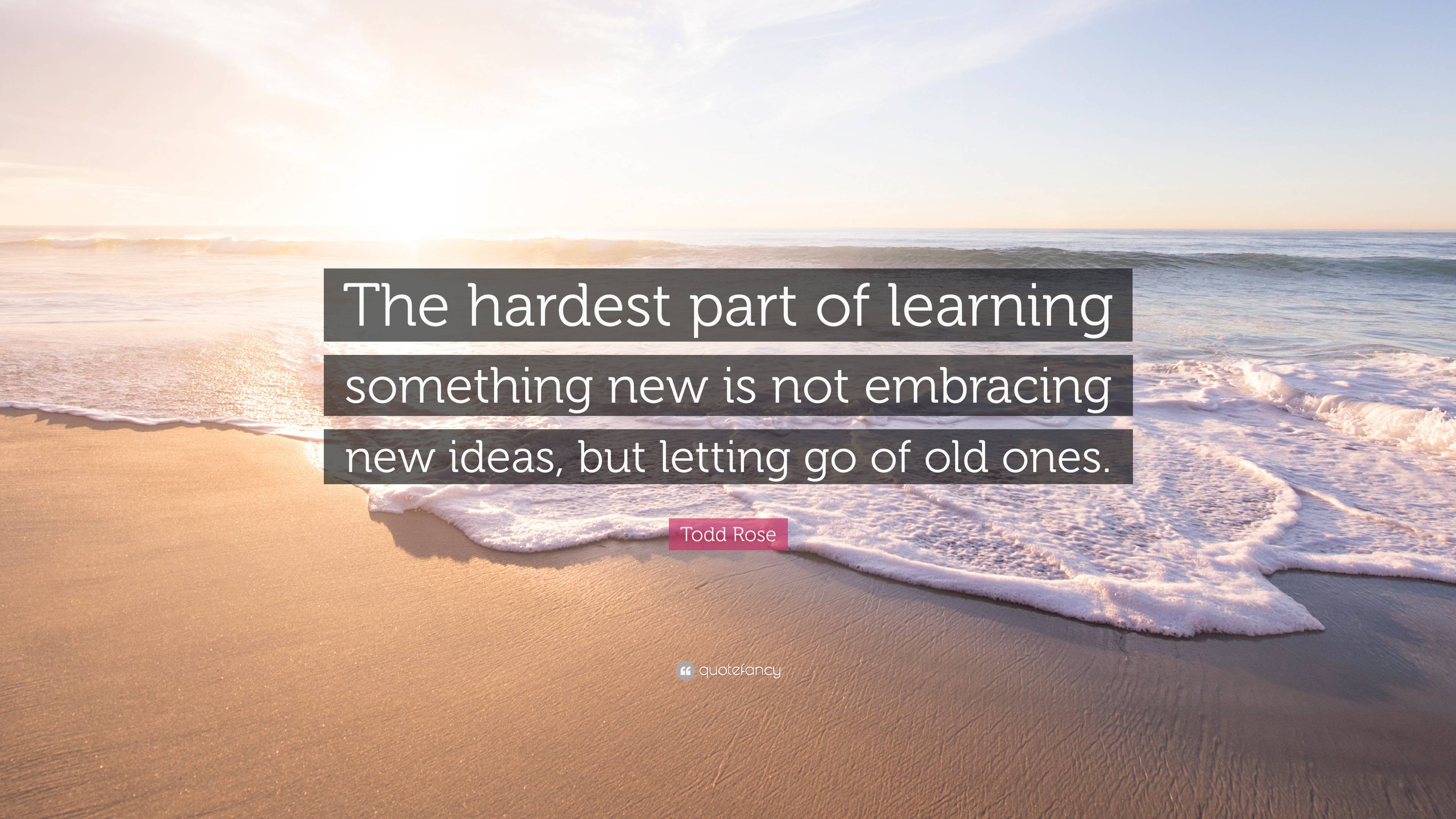 Todd Rose Quote: “The hardest part of learning something new is not ...