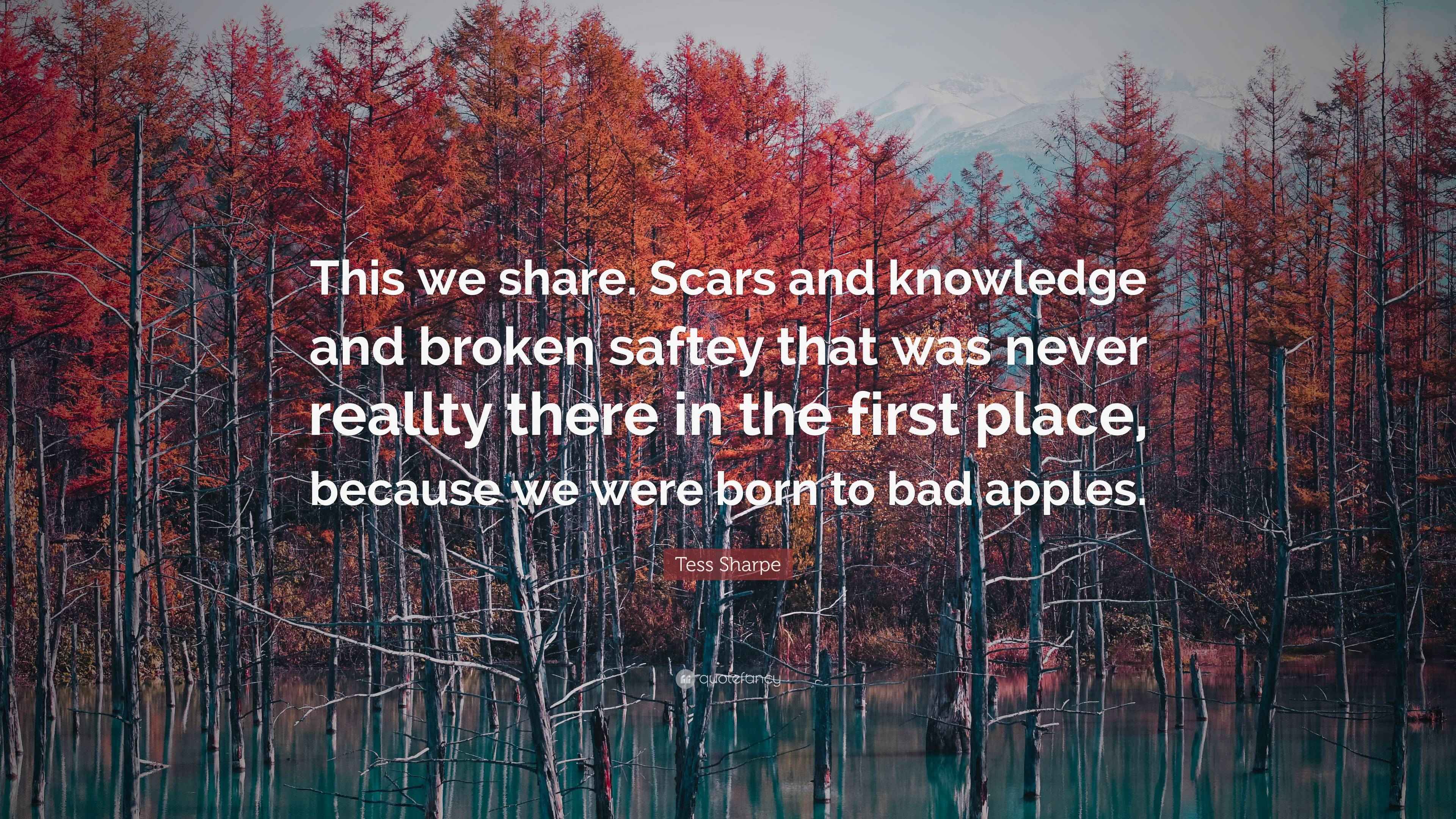 Tess Sharpe Quote: “This we share. Scars and knowledge and broken ...