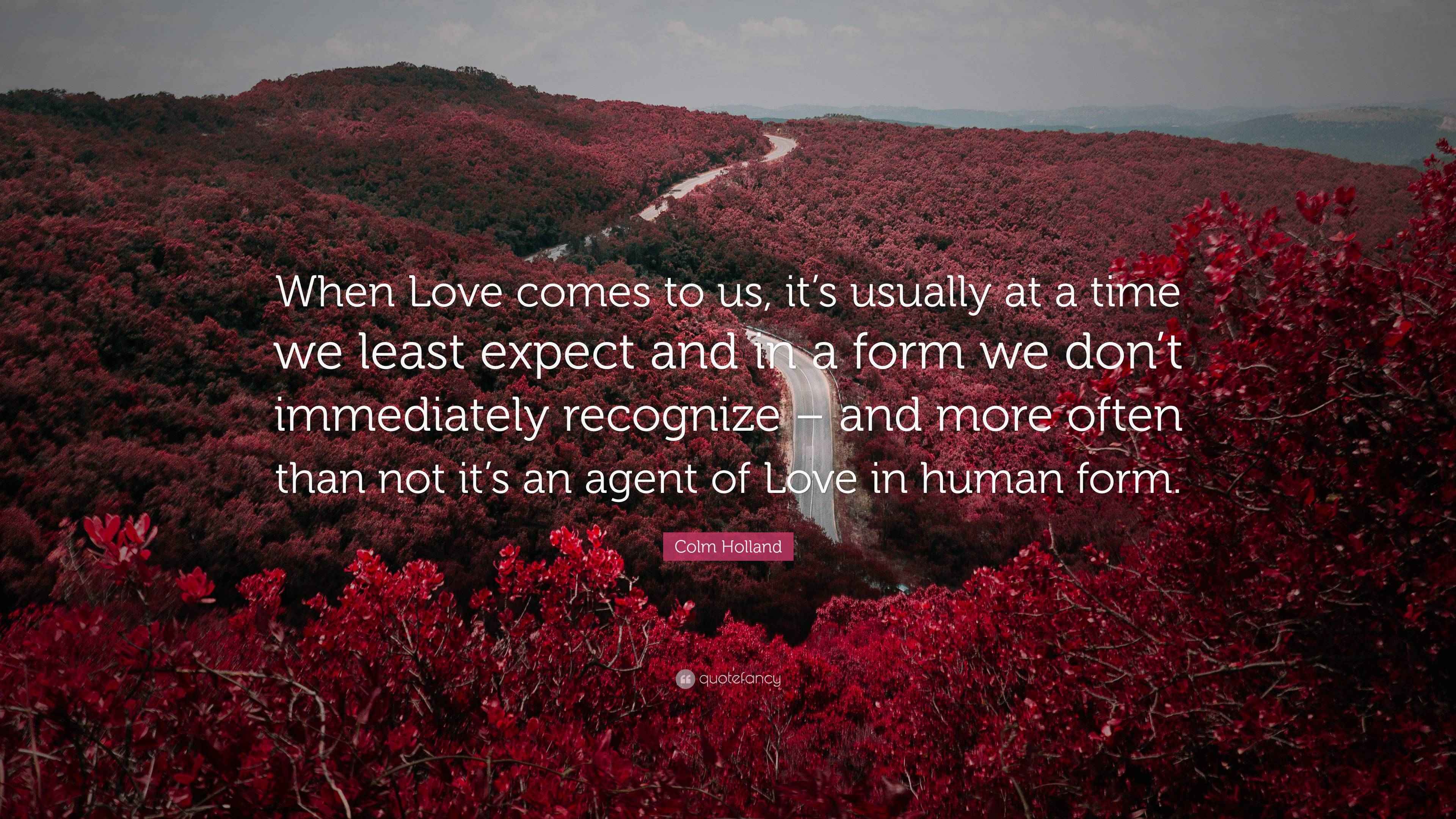 Colm Holland Quote: “When Love comes to us, it’s usually at a time we ...