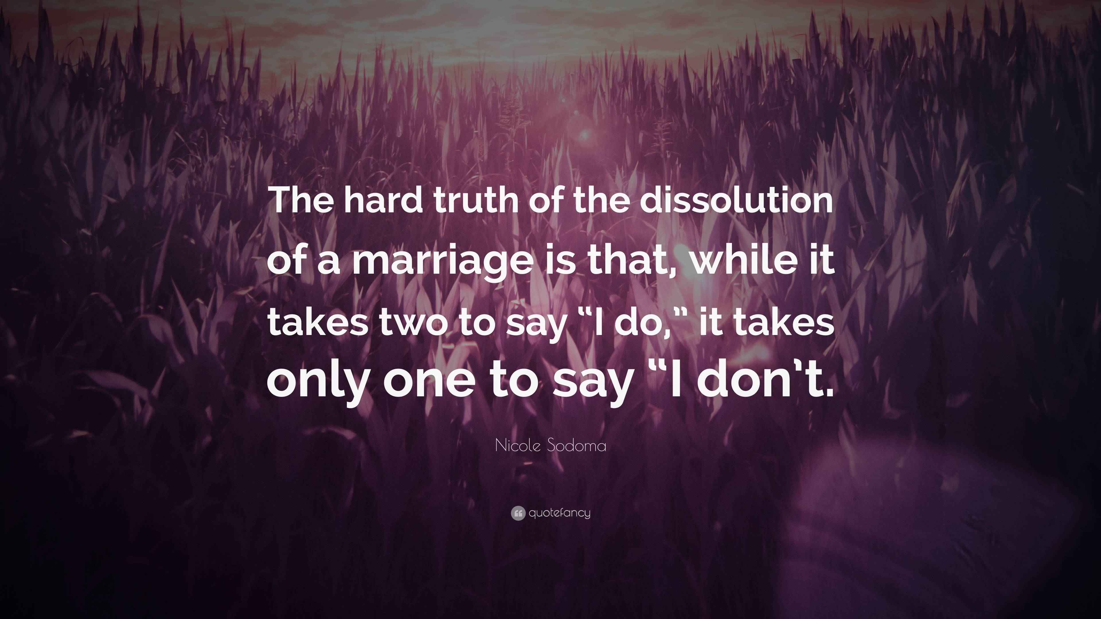 Nicole Sodoma Quote: “The hard truth of the dissolution of a marriage ...