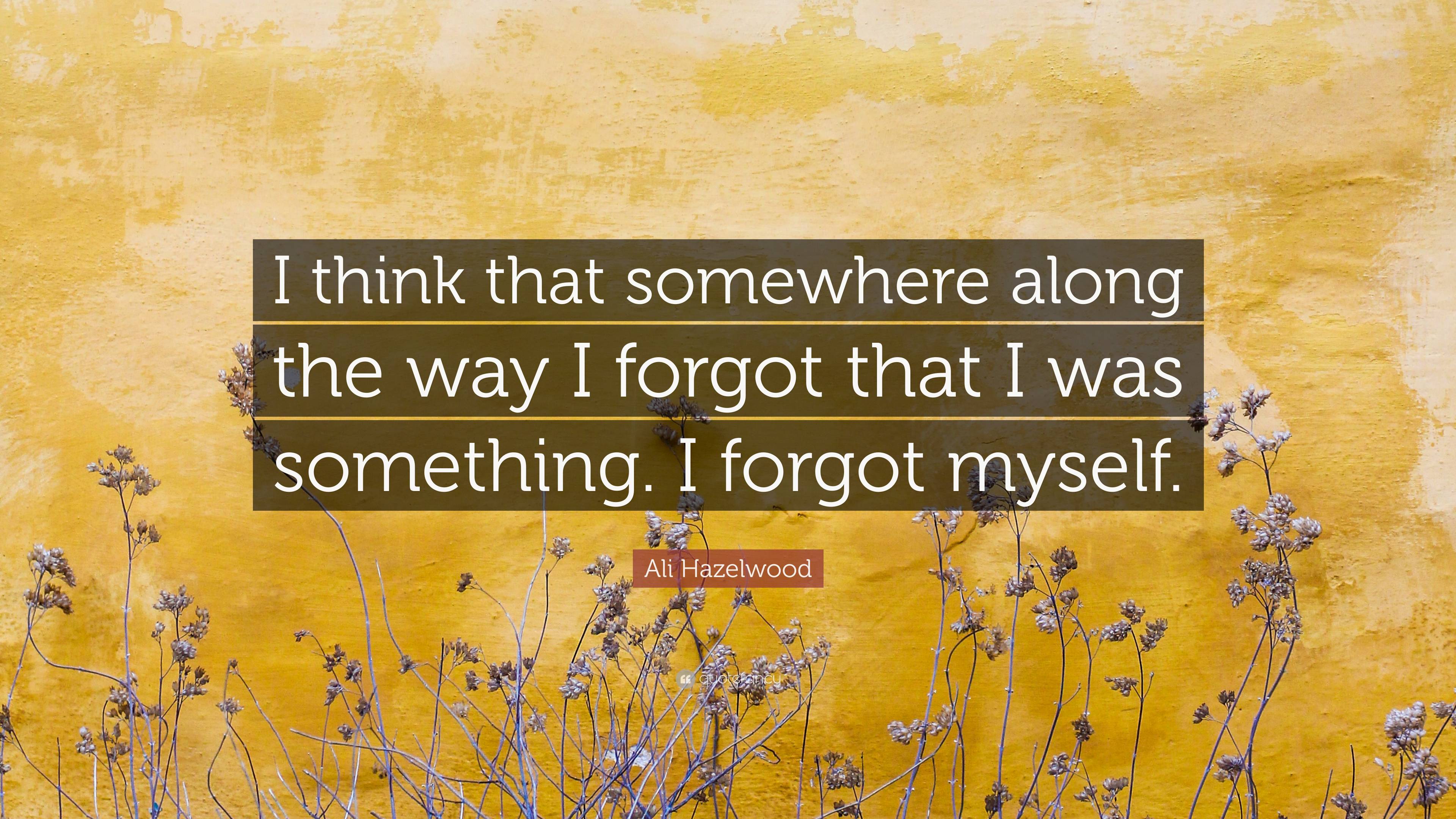 Ali Hazelwood Quote: “I think that somewhere along the way I forgot ...