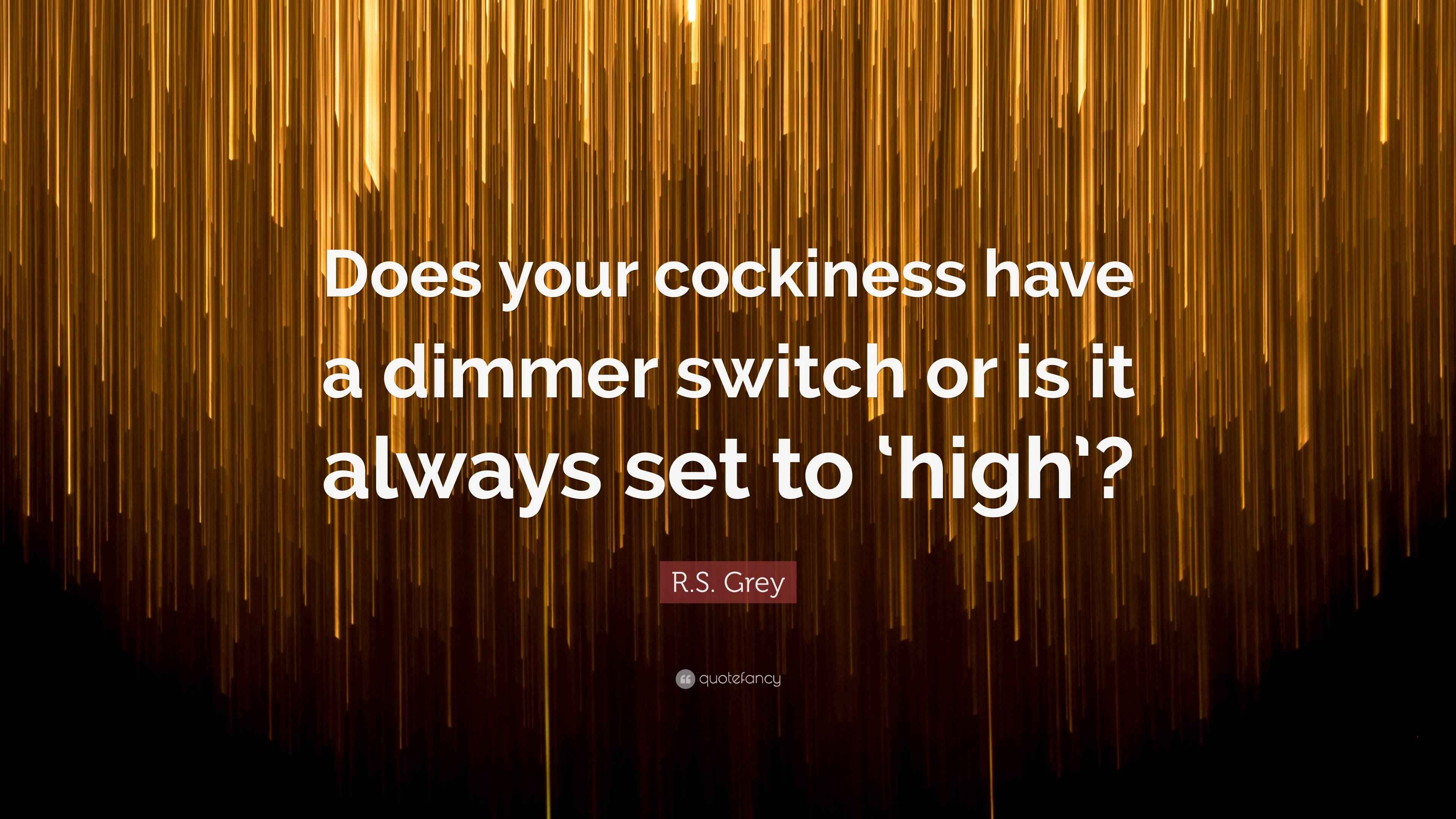 R.S. Grey Quote: “Does your cockiness have a dimmer switch or is it ...