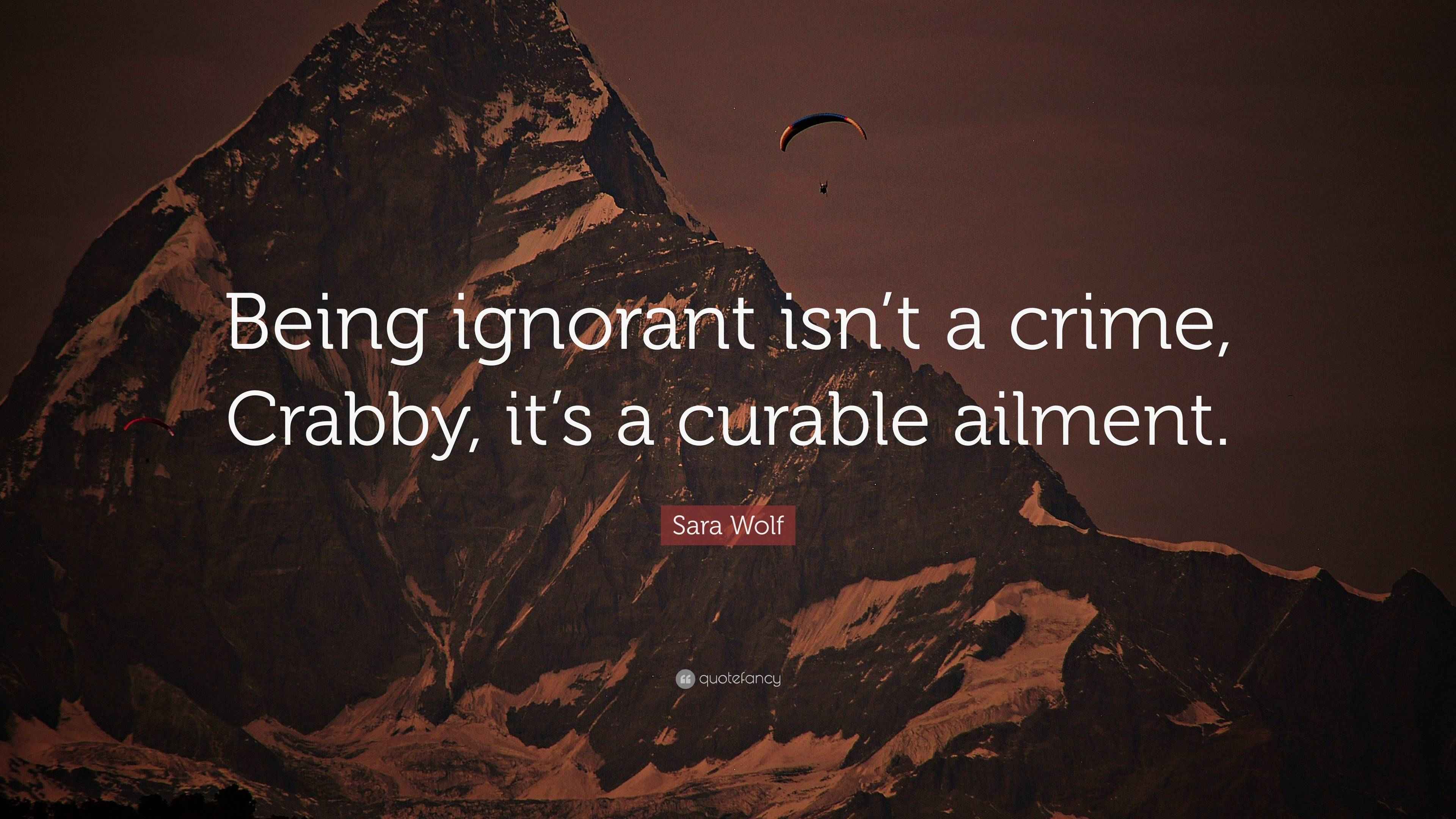 Sara Wolf Quote: “Being ignorant isn’t a crime, Crabby, it’s a curable ...