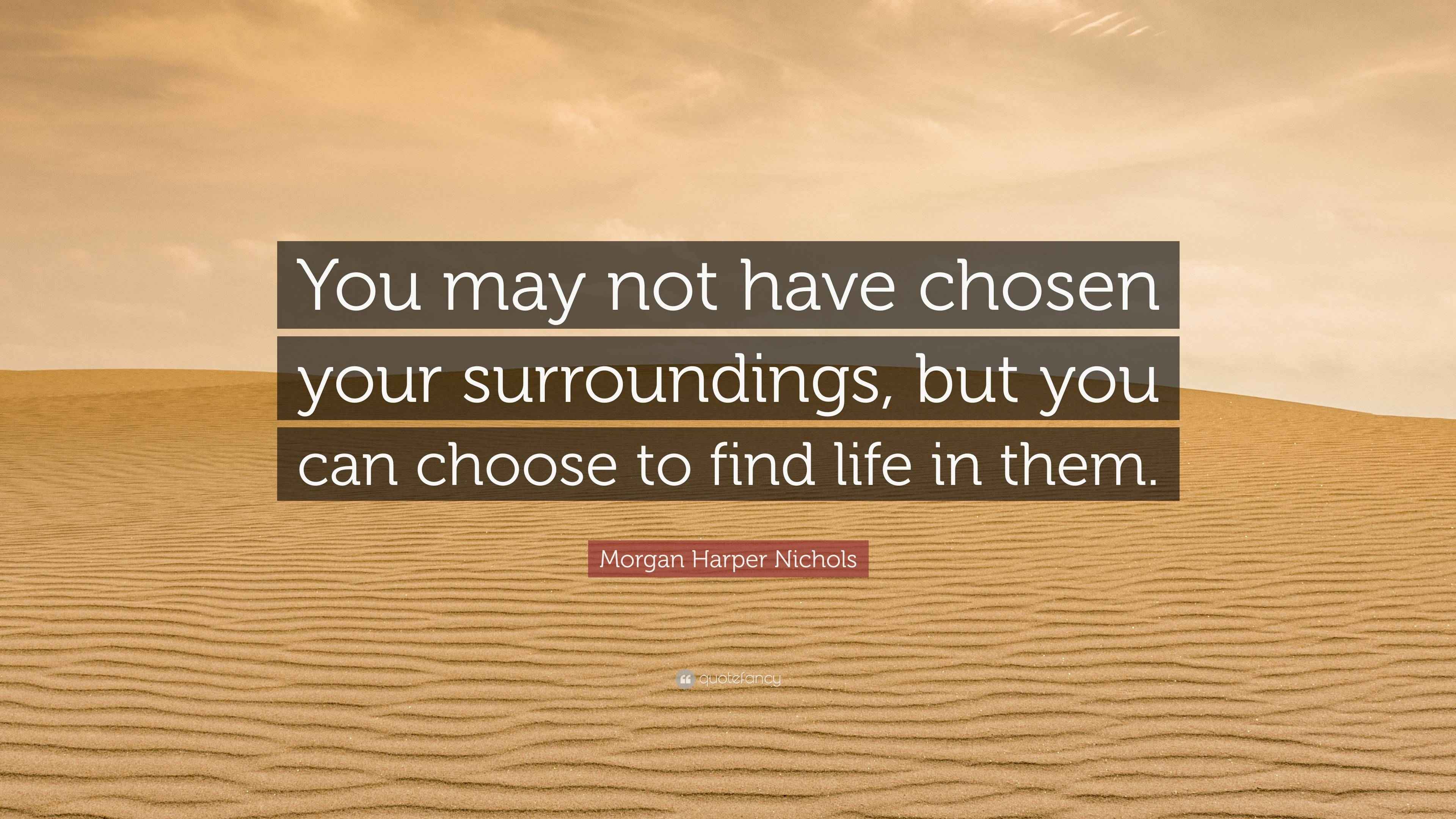 Morgan Harper Nichols Quote: “You may not have chosen your surroundings ...