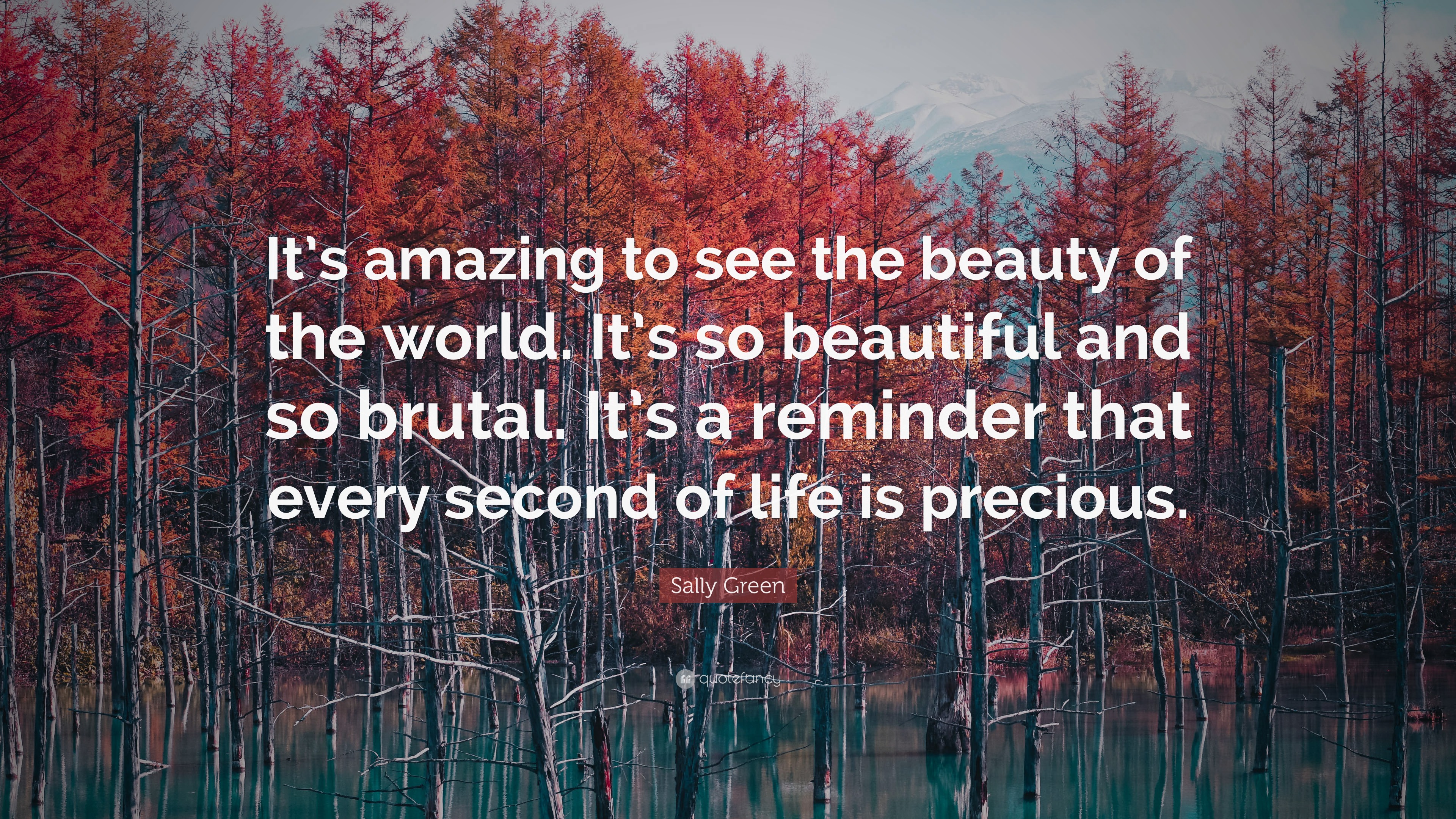 Sally Green Quote: “It’s amazing to see the beauty of the world. It’s ...